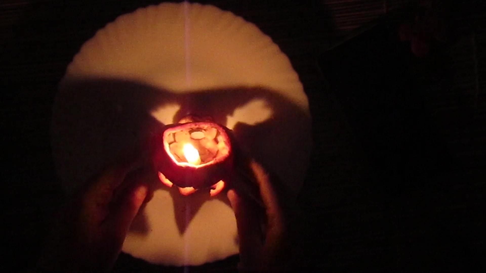 How to Make a Simple Candle Lantern From Pomegranate : 4 Steps ...