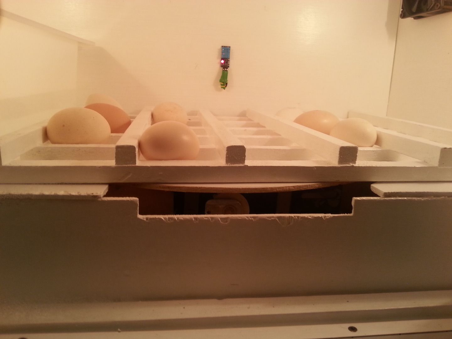 Incubat-Duino Eggs : 3 Steps - Instructables