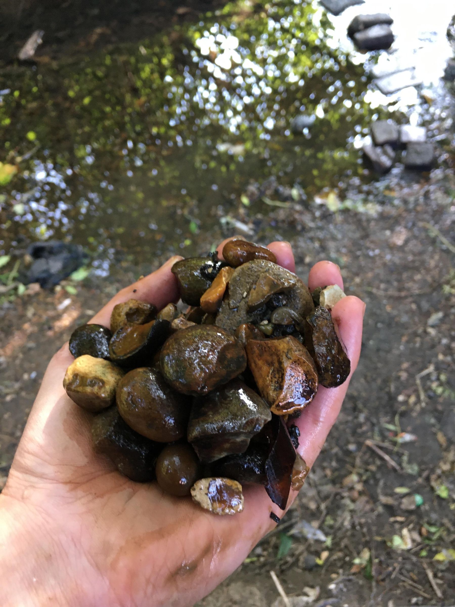 The River Clay Project - From Riverbed to Dining Table : 36 Steps (with ...