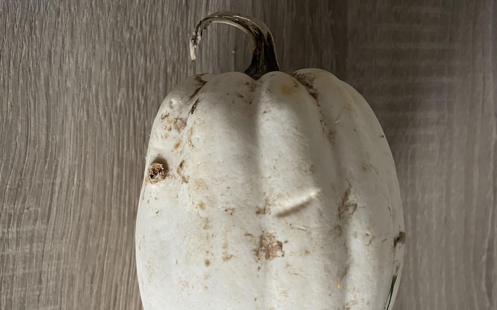 Ferryman Pumpkin : 4 Steps - Instructables