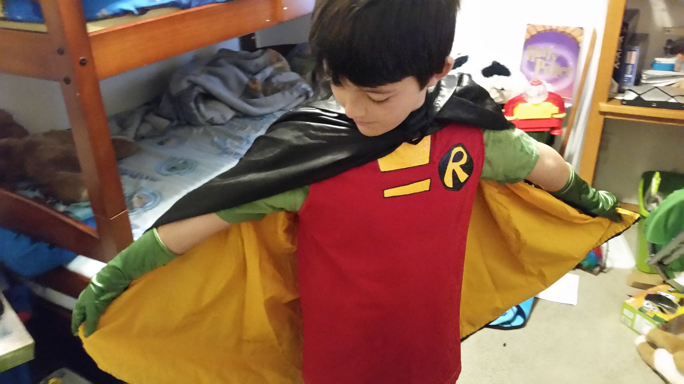 Homemade Robin Costume