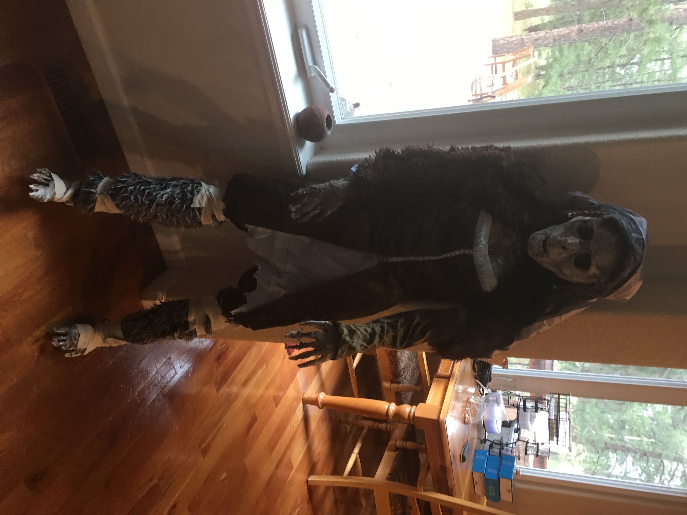 DIY White Walker Prop : 6 Steps (with Pictures) - Instructables