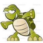 How to Use Python's Turtle Function : 5 Steps - Instructables