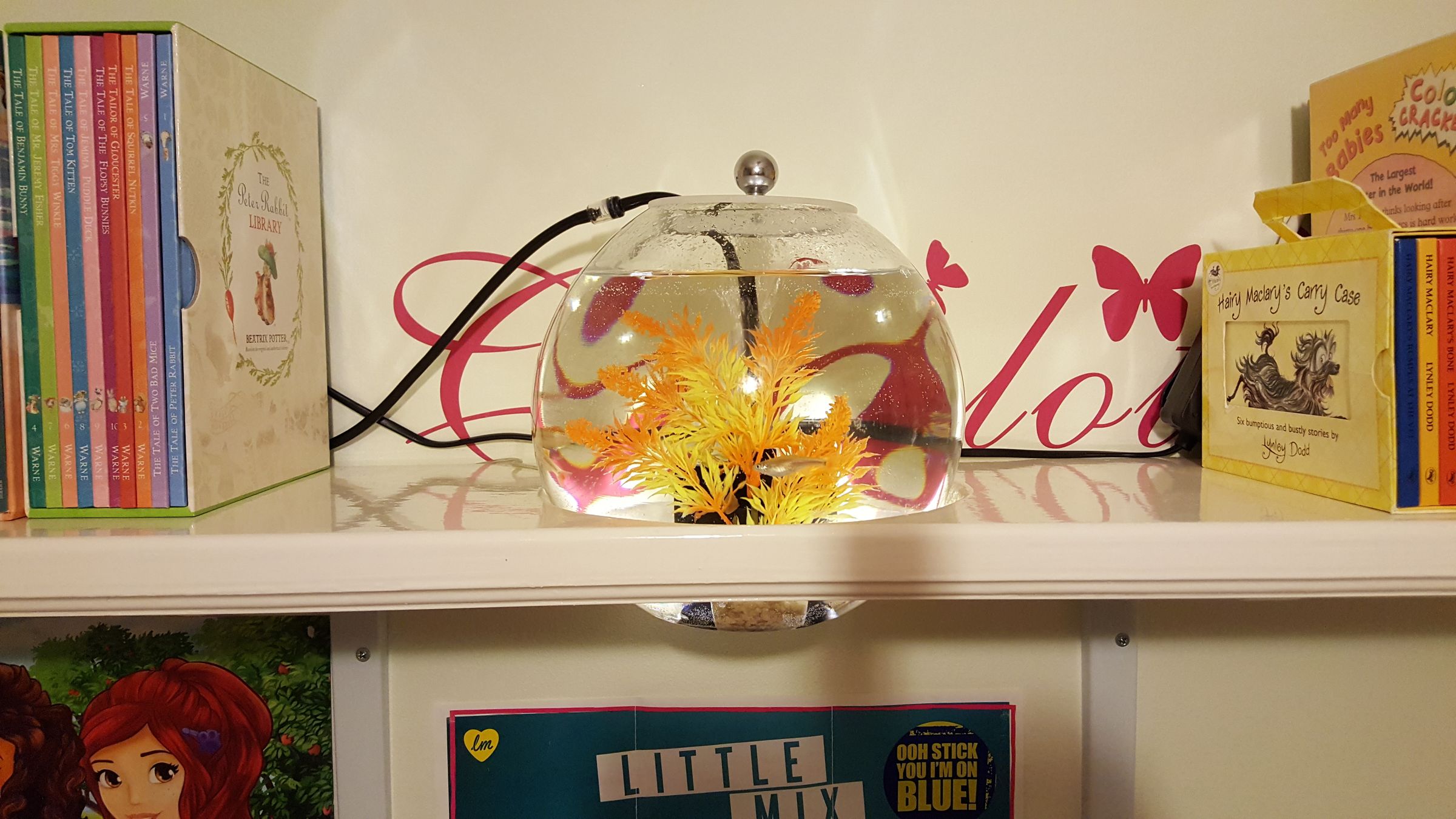 FiSHELF - the Fish Bowl Book Shelf : 7 Steps (with Pictures ...