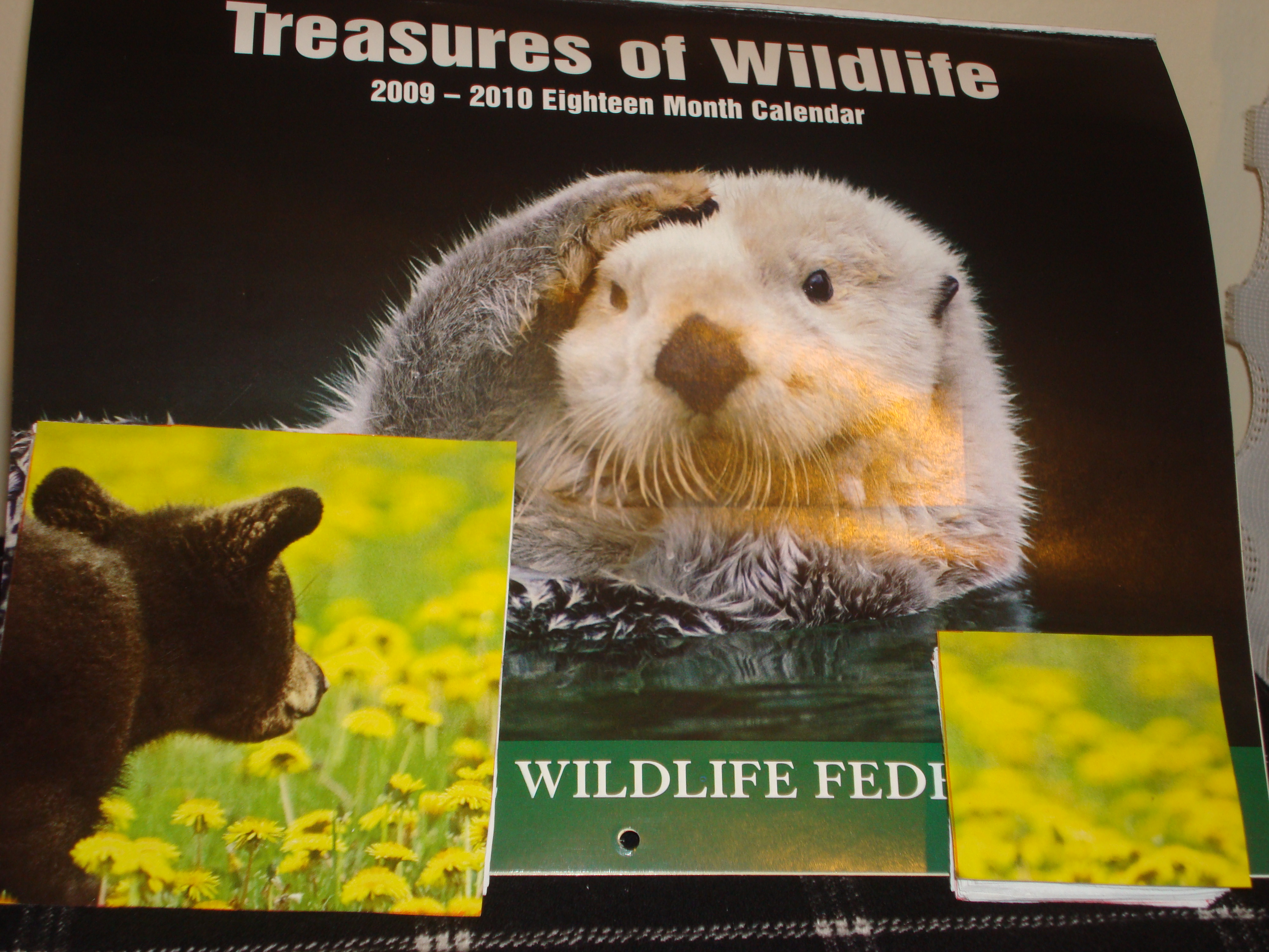 How to Make Post It Notes : 7 Steps (with Pictures) - Instructables