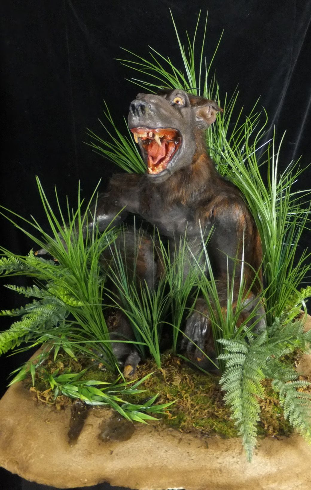 Chupacabra Creature : 6 Steps (with Pictures) - Instructables