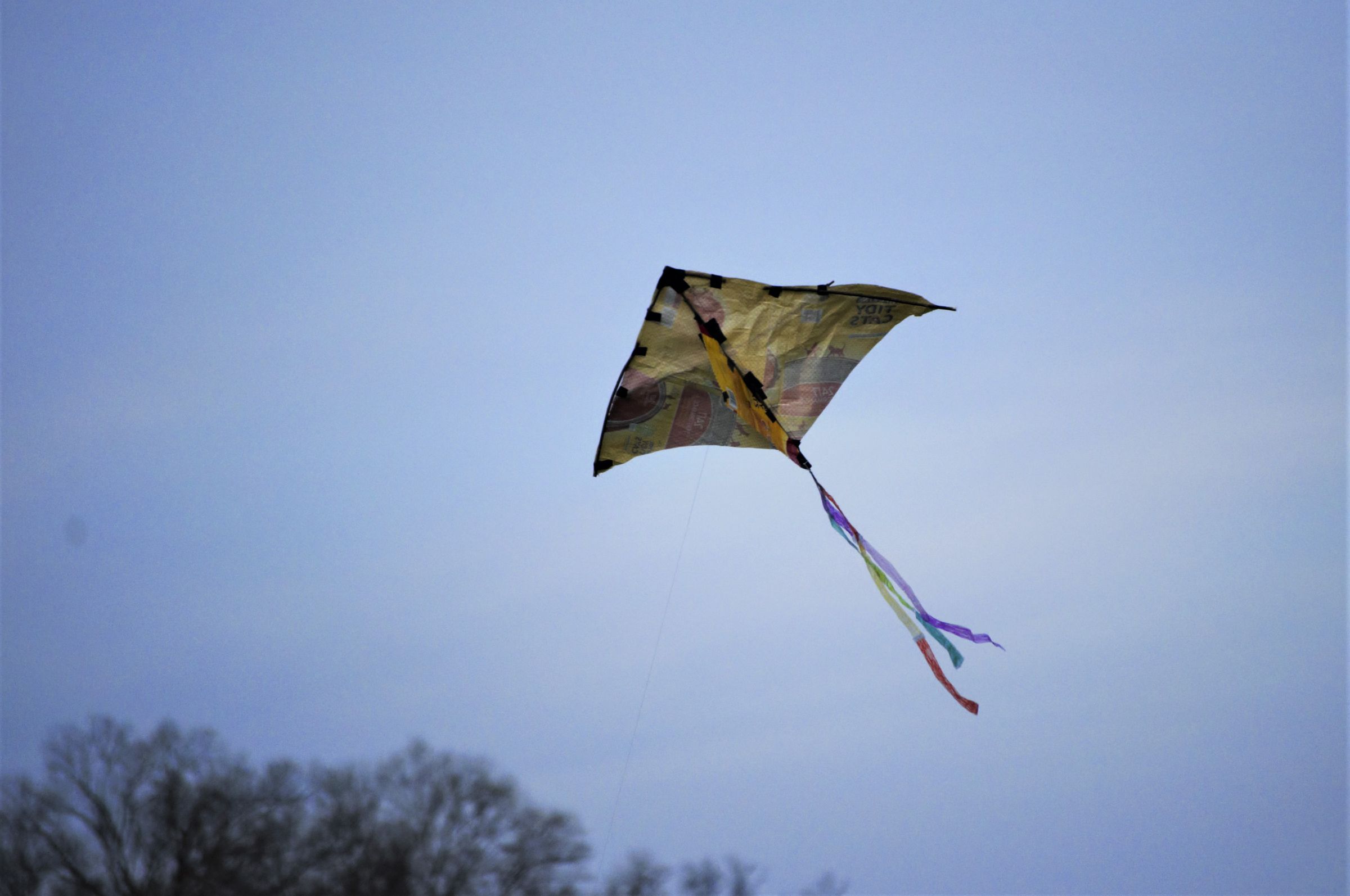 DIY Recycled Material Kite : 7 Steps (with Pictures) - Instructables
