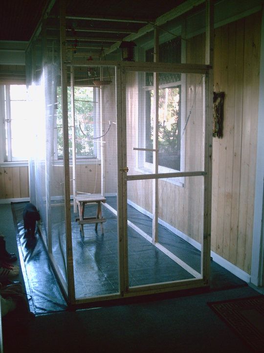 Walk-in Bird Aviary : 9 Steps (with Pictures) - Instructables