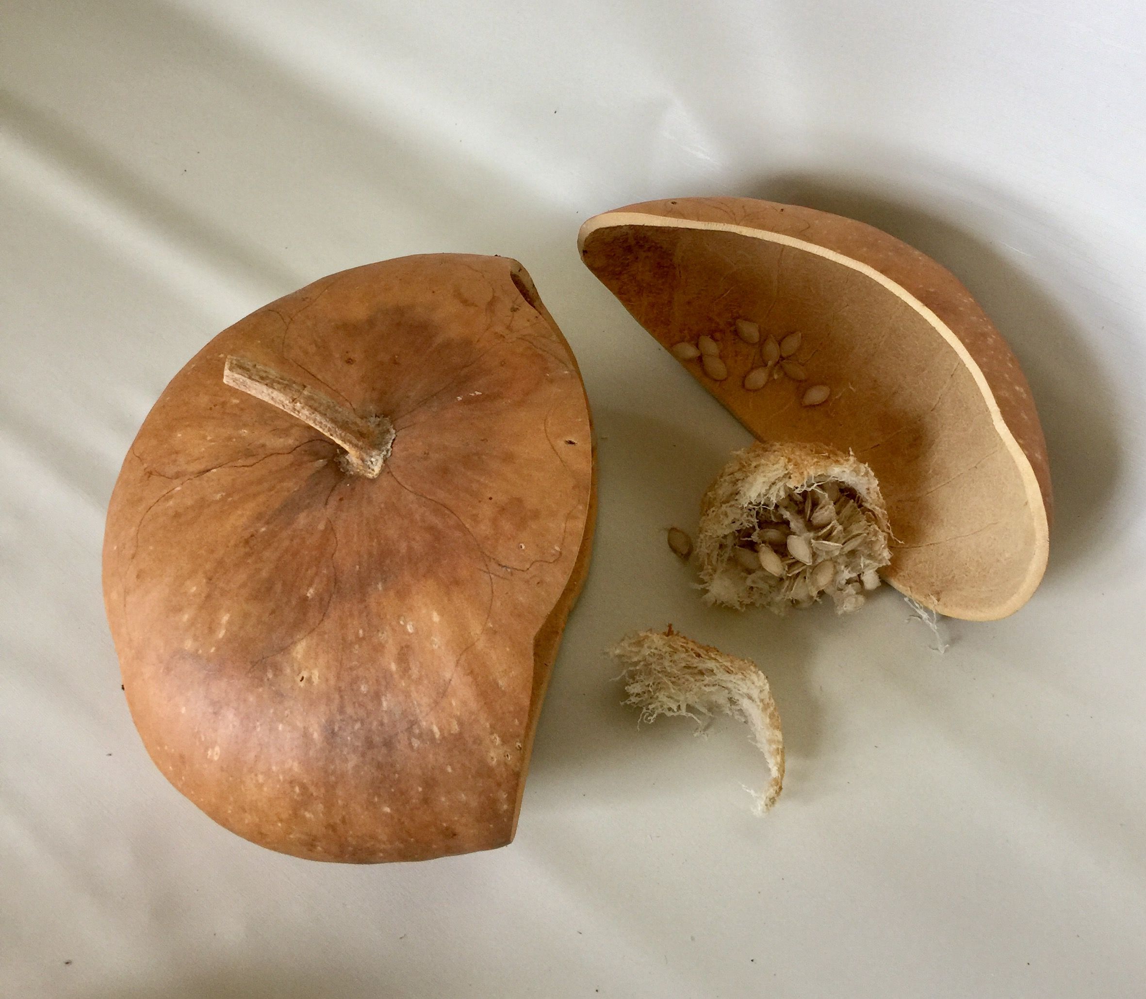 Gourd Bag : 5 Steps (with Pictures) - Instructables