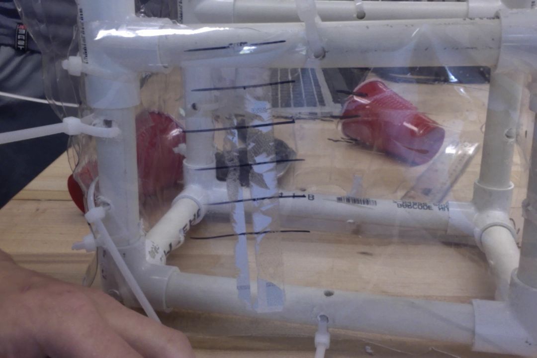 PVC Bird House : 6 Steps - Instructables