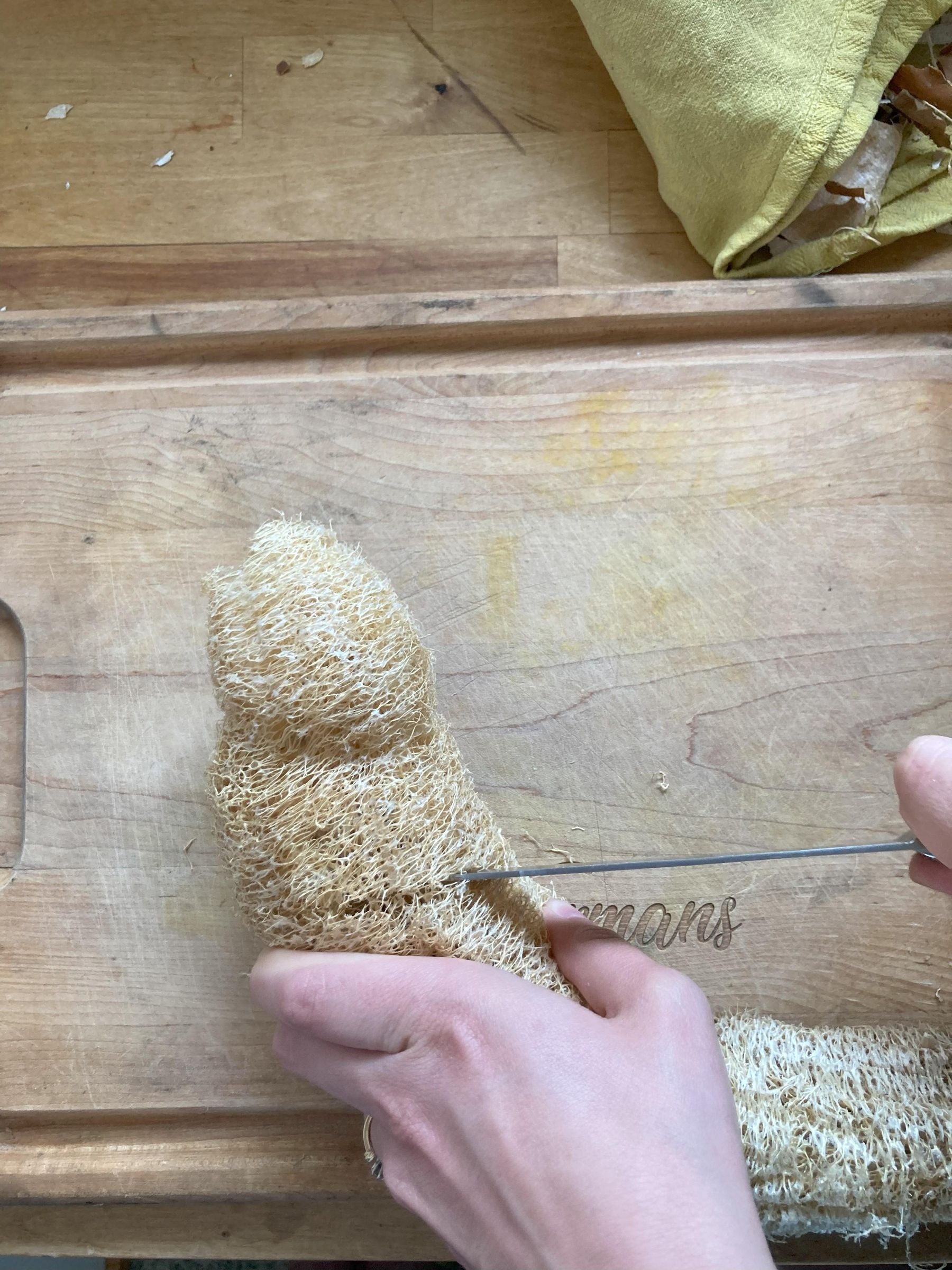 Growing Luffa for Compostable Cleaning Sponges : 8 Steps (with Pictures ...