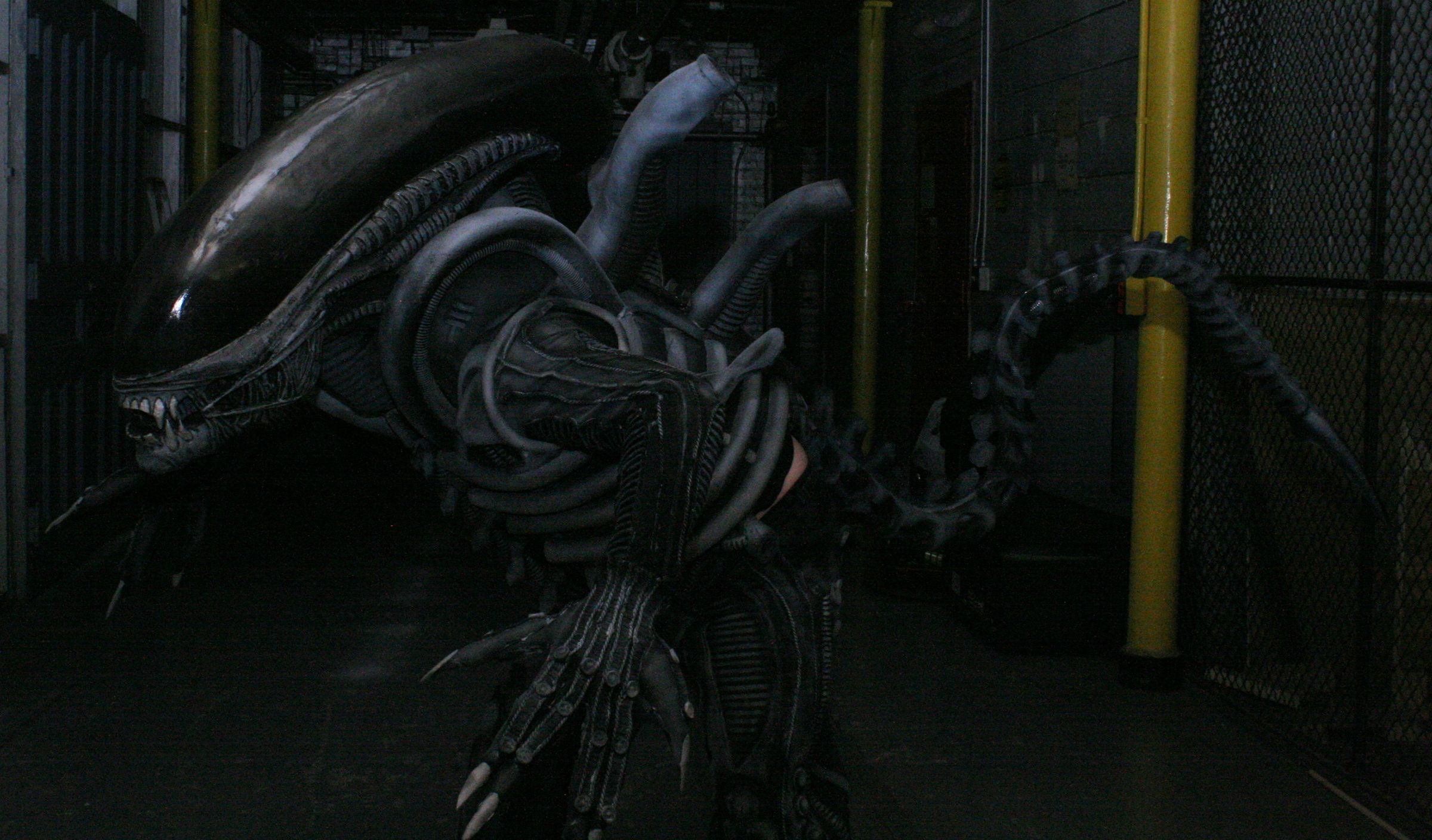 Alien Xenomorph Costume : 17 Steps (with Pictures) - Instructables