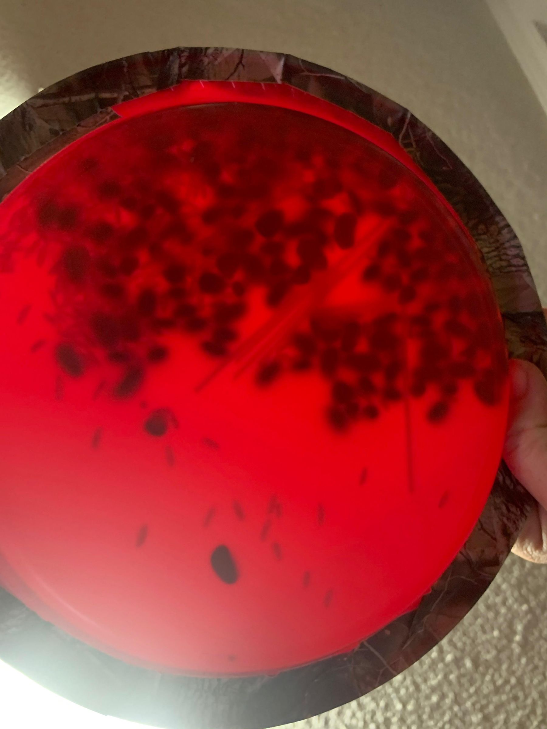 Homemade Sound Maker & Shaker - Quick Craft for Kids - Instructables