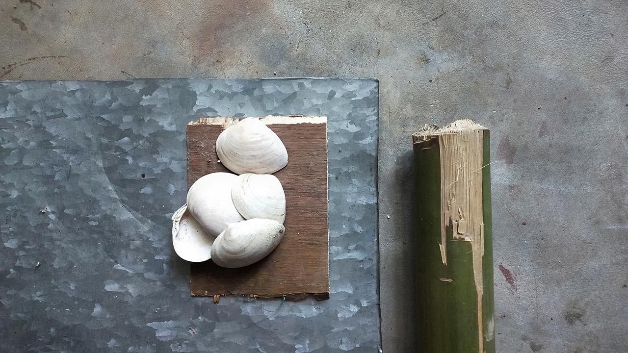 Turtle Habitat for Baby Turtles | Homemade Turtle Garden : 18 Steps ...