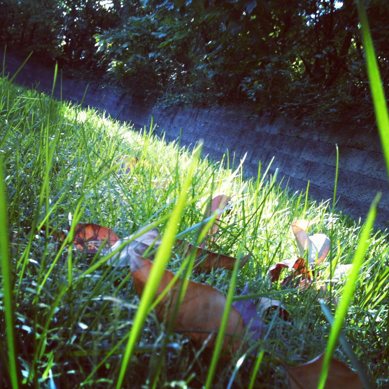 Nature Through Your Lens : 7 Steps - Instructables