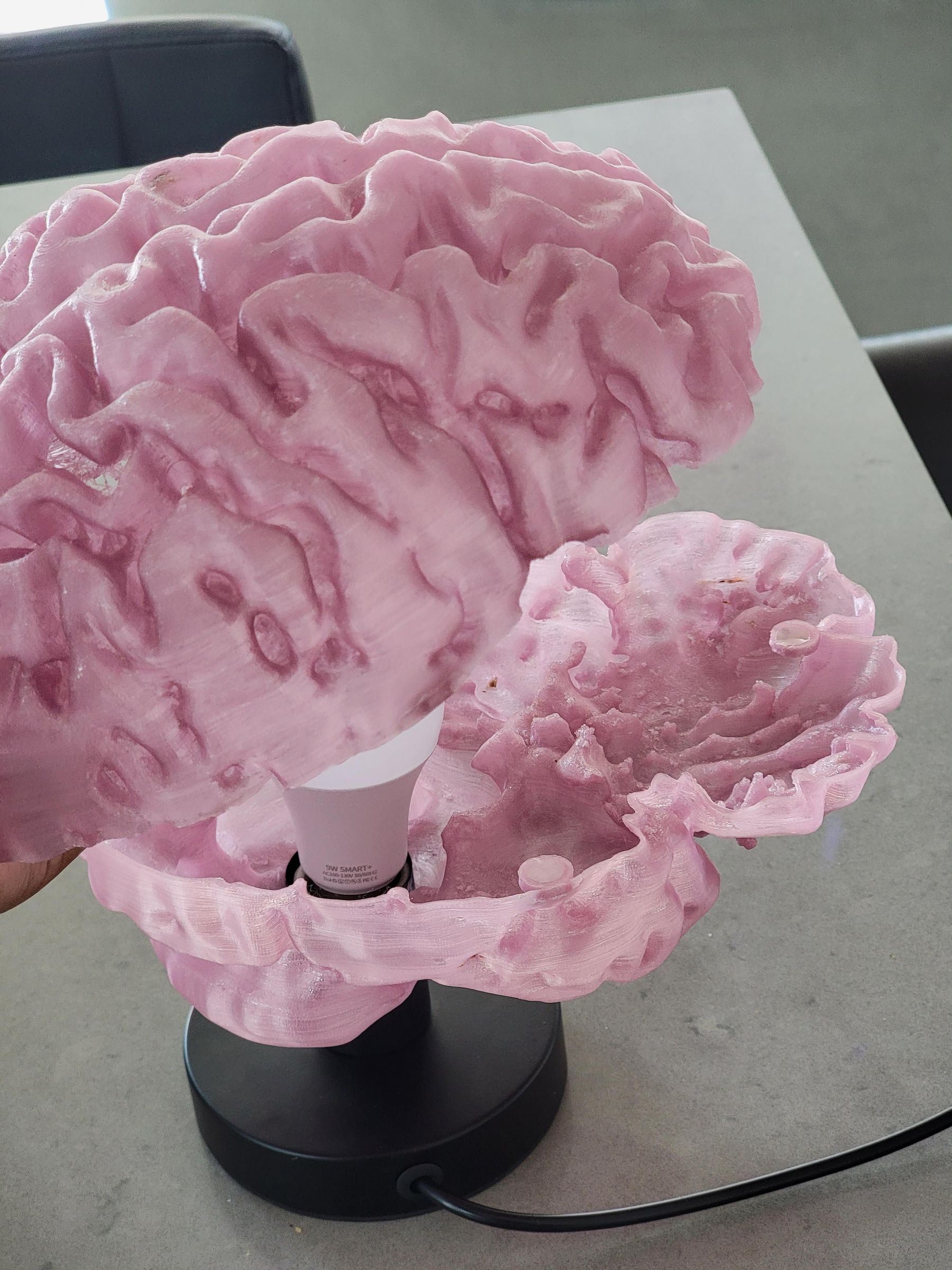 How To: From MRI to 3D Printed Brain Lamp : 4 Steps (with Pictures) - Instructables