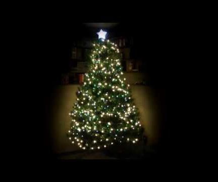 Raspberry Pi Christmas Tree Light Show : 15 Steps (with Pictures ...