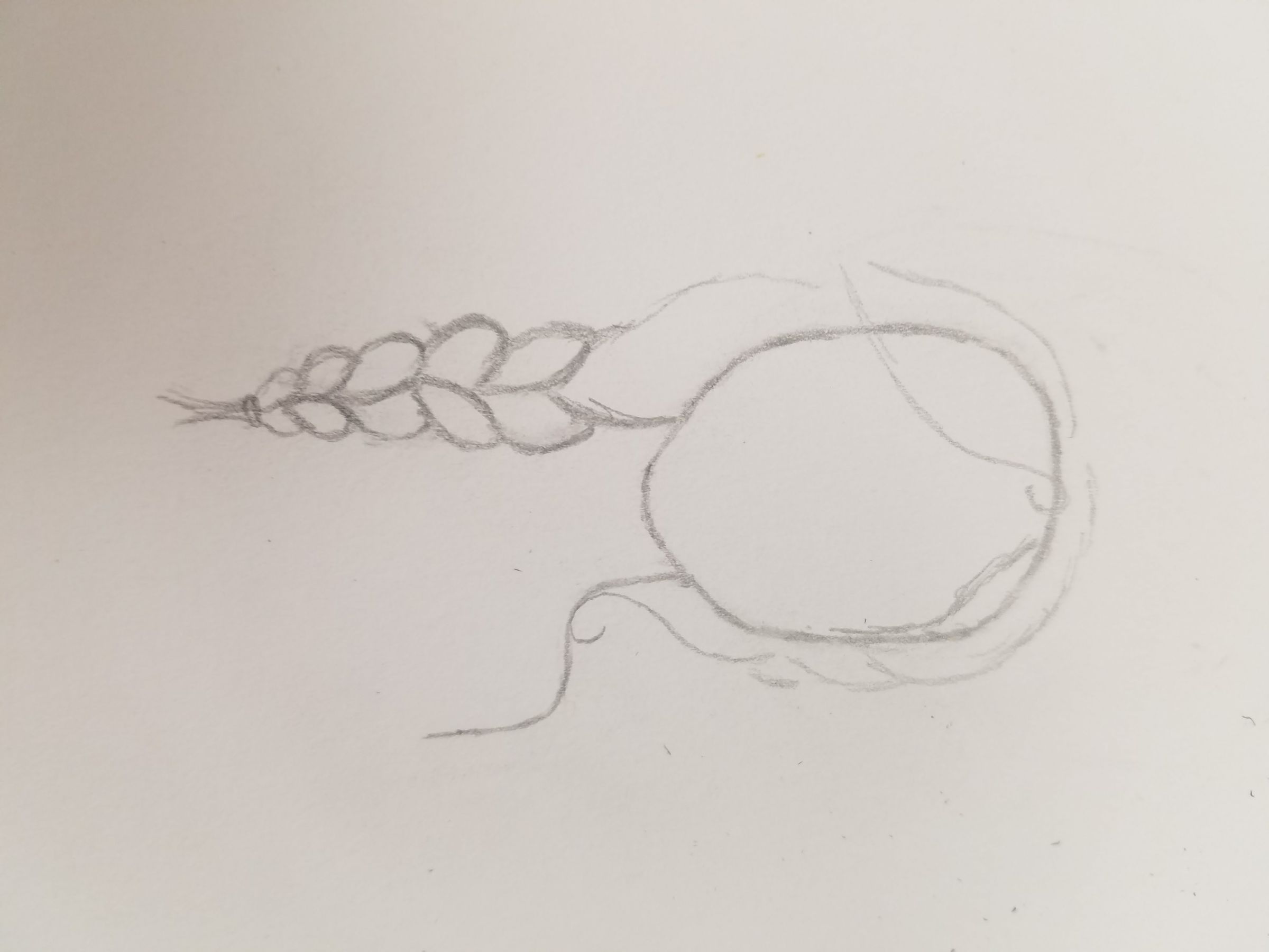 Drawing a Braid on a Girl : 12 Steps - Instructables