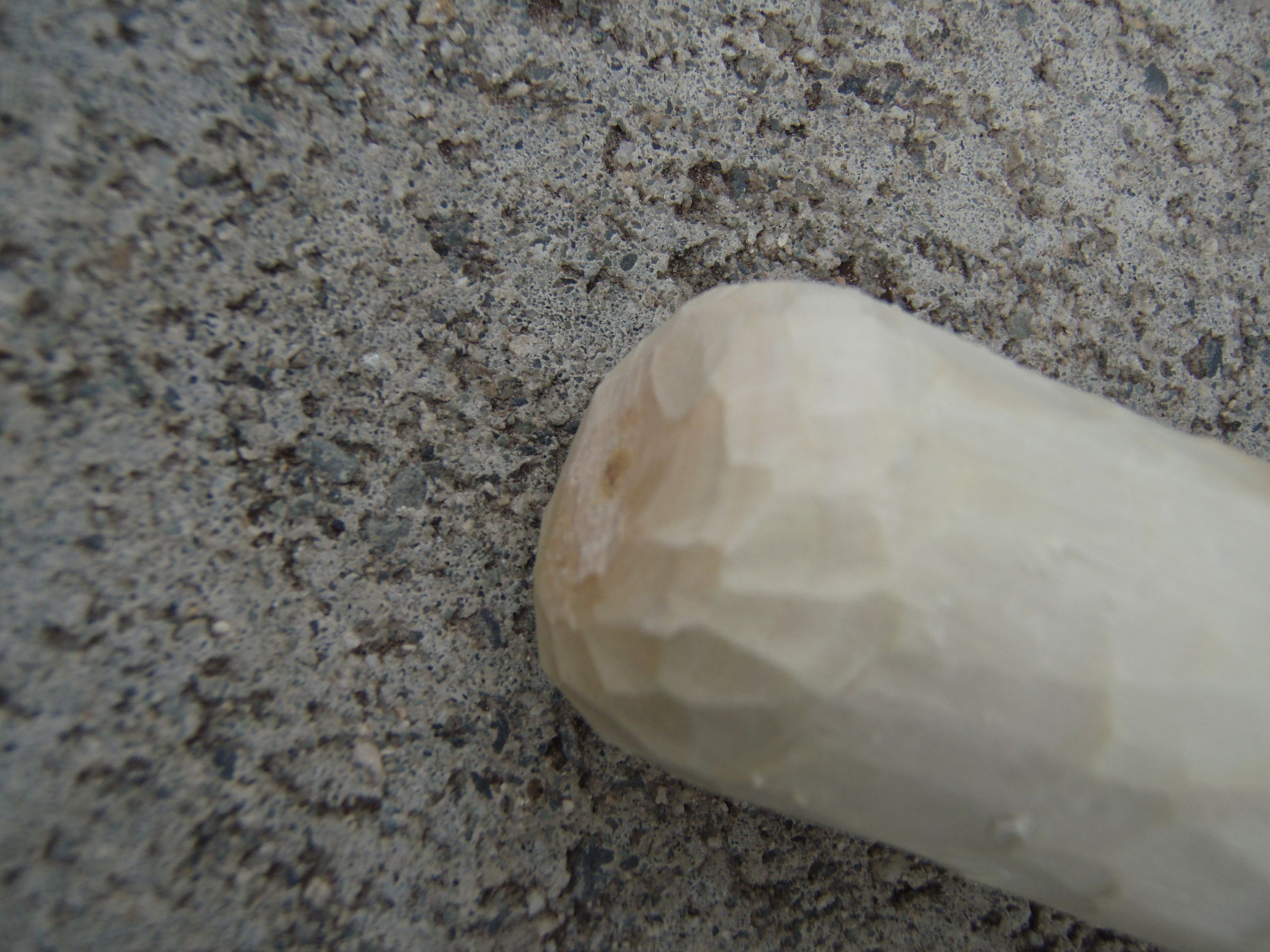 Carve a Staff / Walking Stick : 16 Steps (with Pictures) - Instructables