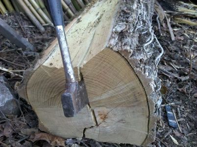 Splitting Black Locust Logs With Wedges : 7 Steps (with Pictures ...