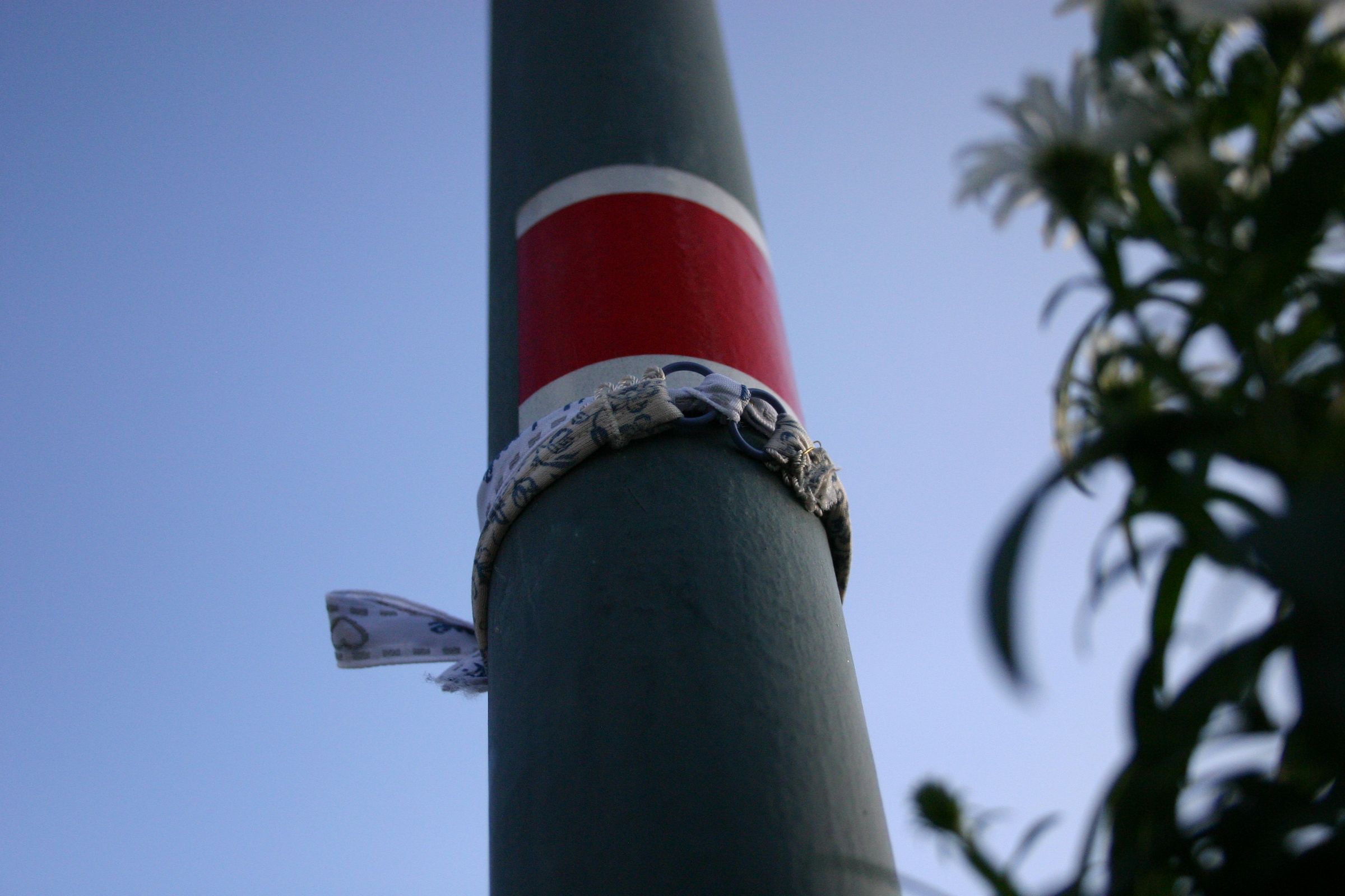 Guerilla Gardening With a Bra : 6 Steps (with Pictures) - Instructables