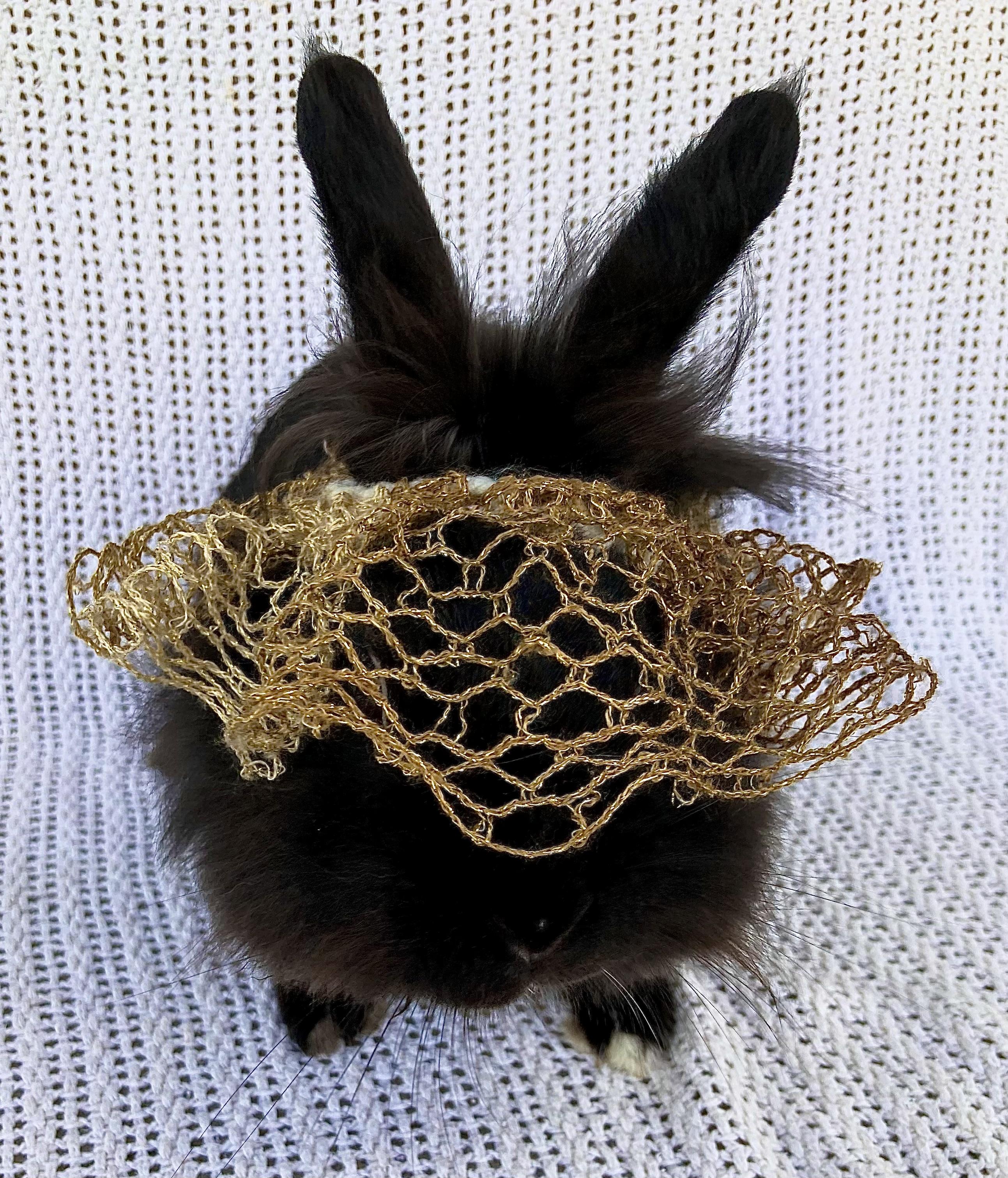 A Basic Guide to Bunny Hats : 5 Steps (with Pictures) - Instructables