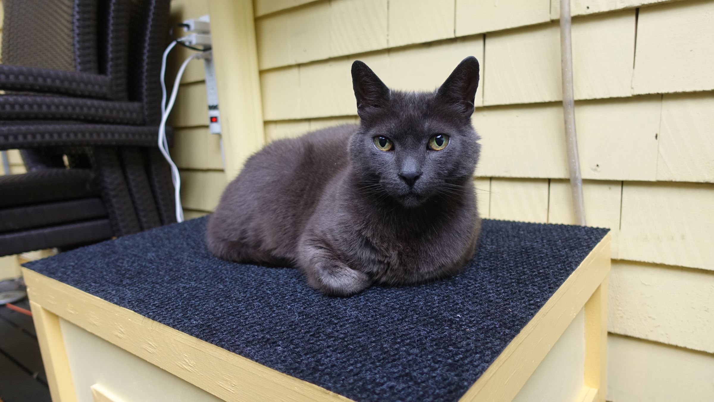 Heated Winter Cat Shelter and Seat : 6 Steps - Instructables