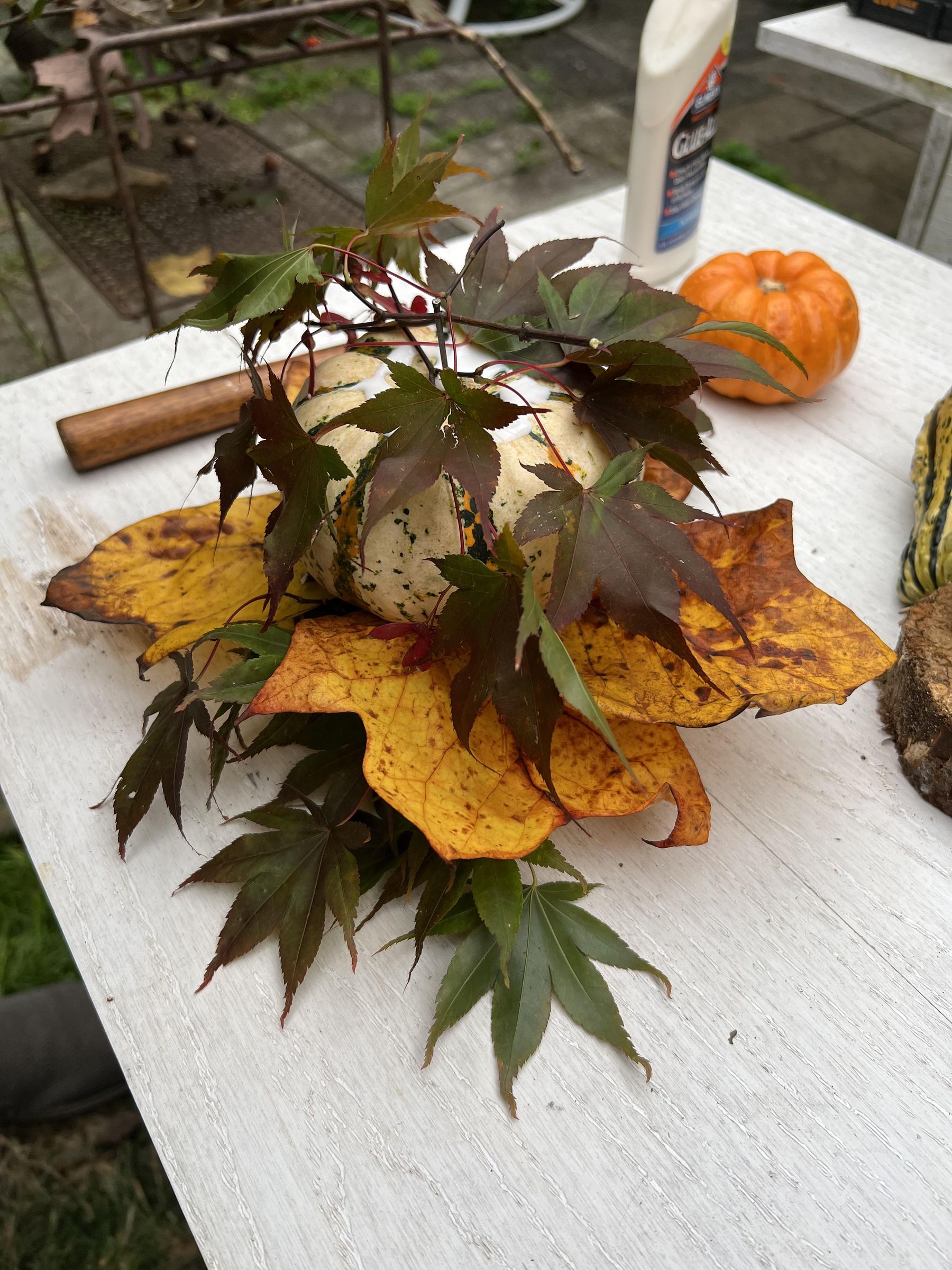 Make Festive Gourd Trees : 12 Steps (with Pictures) - Instructables