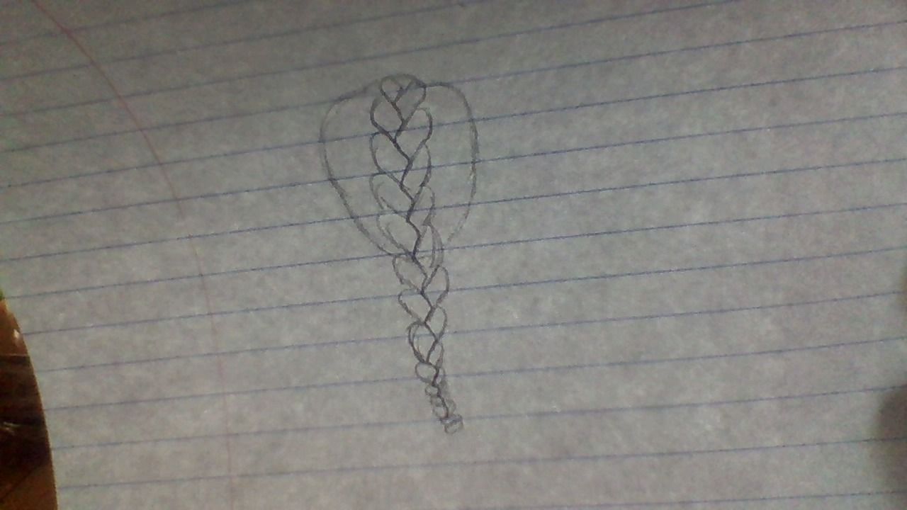 How to Draw a Braid, a Dutch Braid, and a French Braid. : 12 Steps ...
