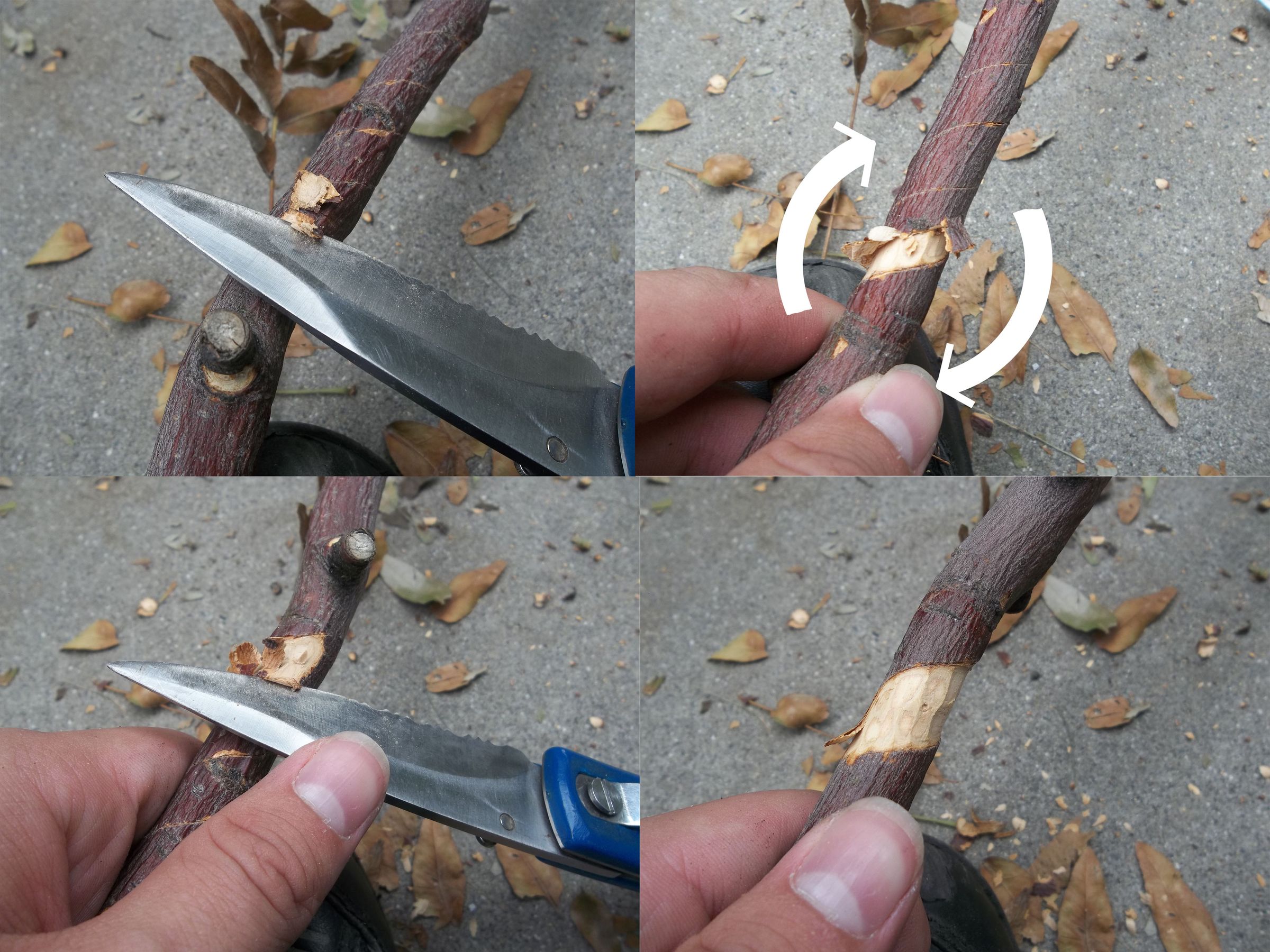 Introduction to Stick Carving : 10 Steps - Instructables