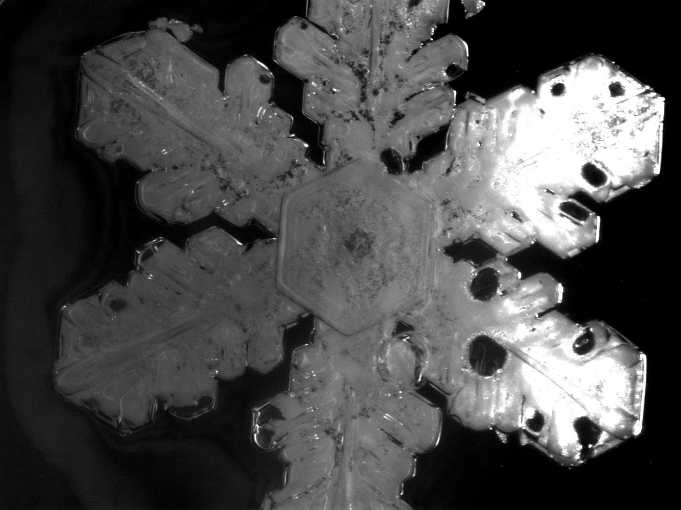 How to Preserve a Snowflake Forever! : 7 Steps (with Pictures ...