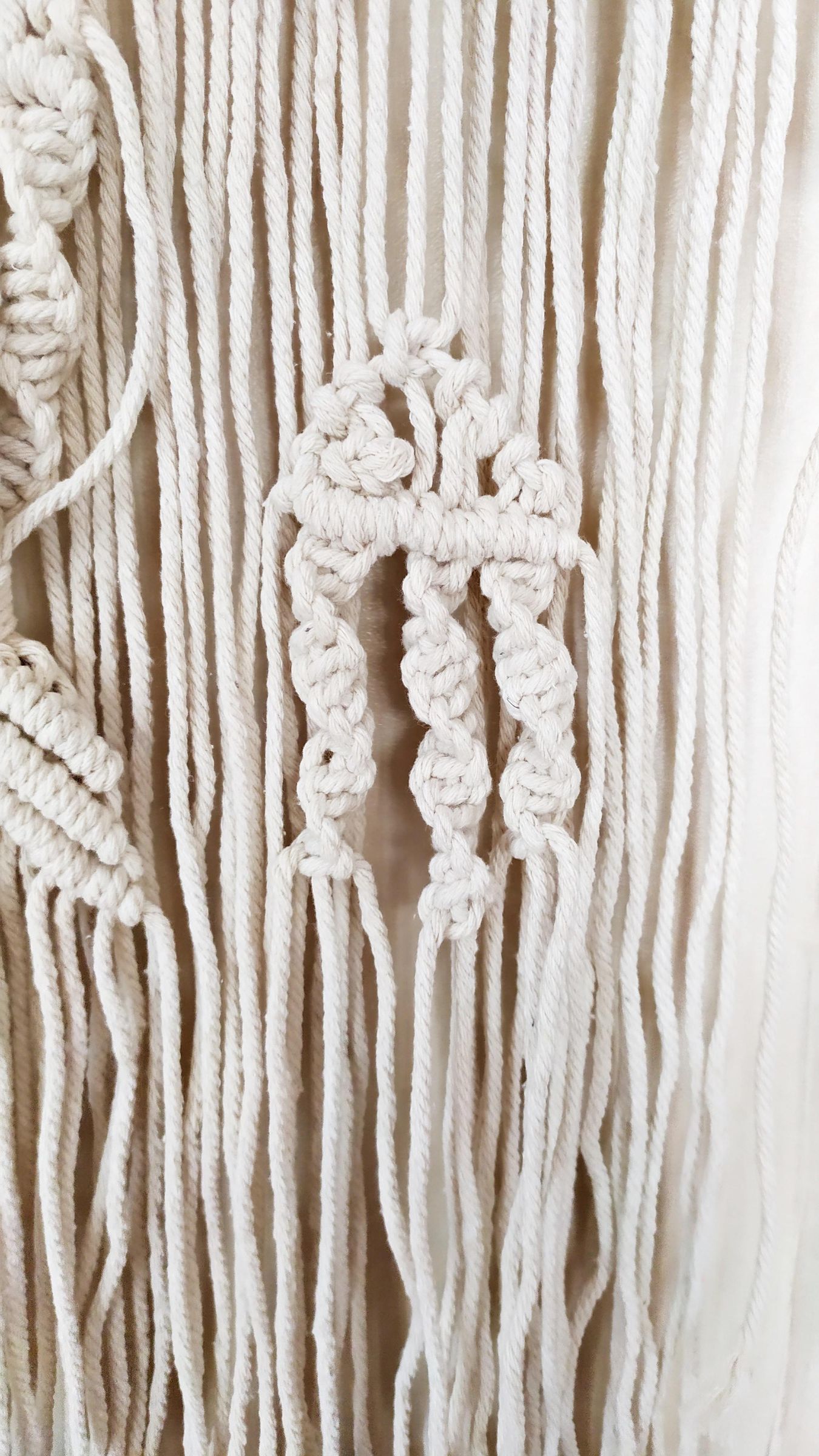 Macrame Fish Wall Hanging Made From Rope Scraps : 15 Steps (with ...