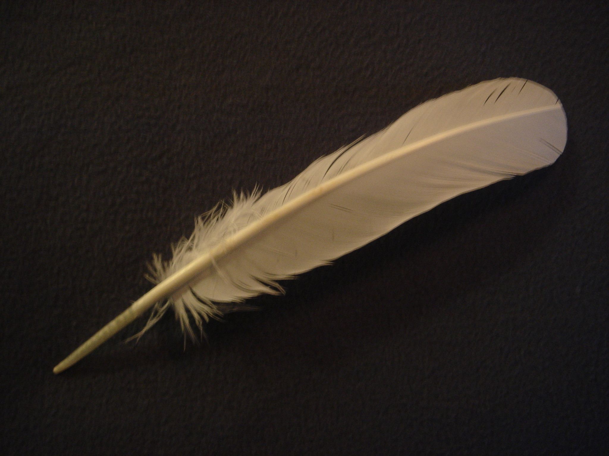 How to Make a Pair of Angel Wings : 15 Steps (with Pictures ...