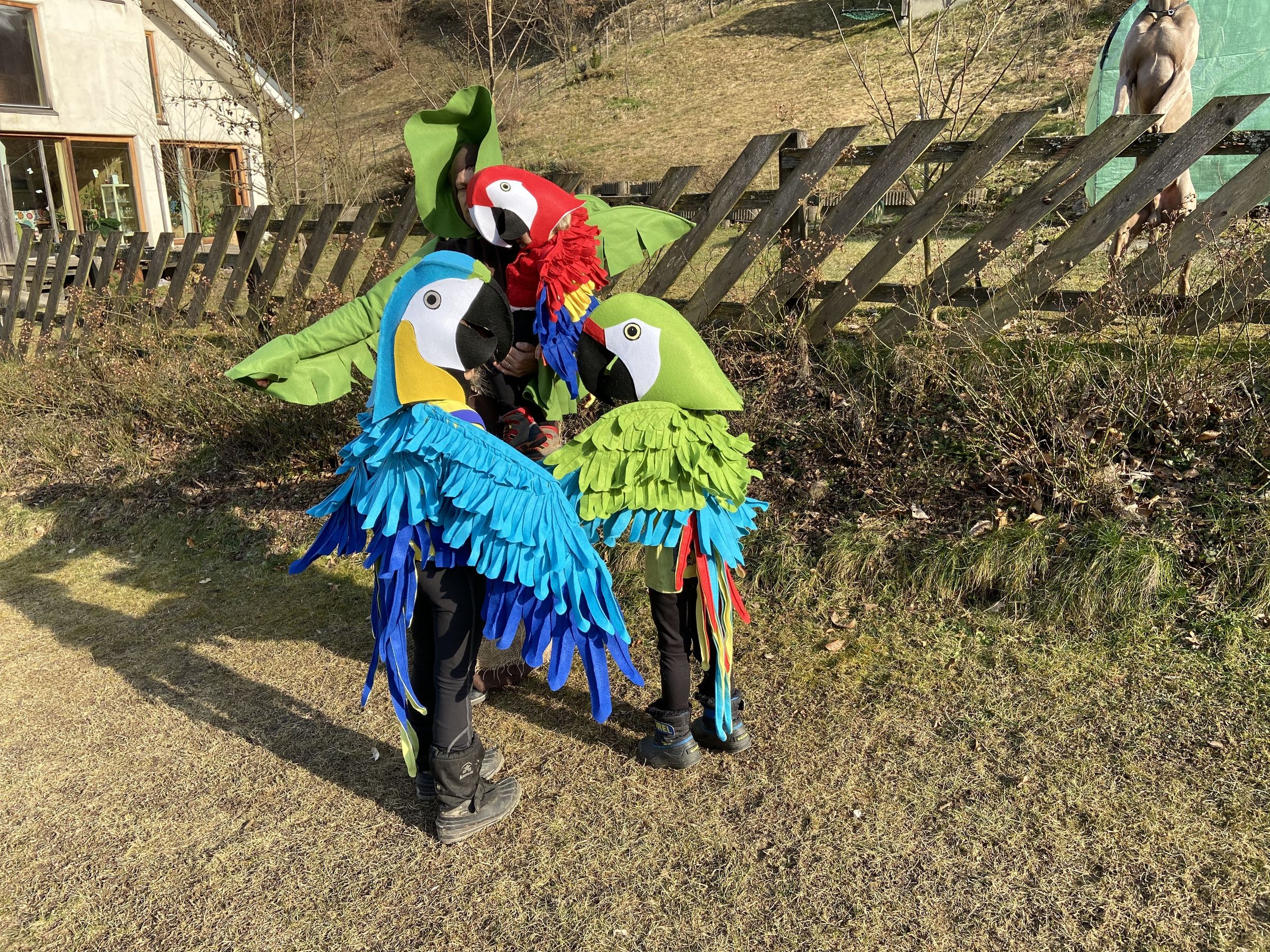 Parrot Mask and Wings : 11 Steps (with Pictures) - Instructables