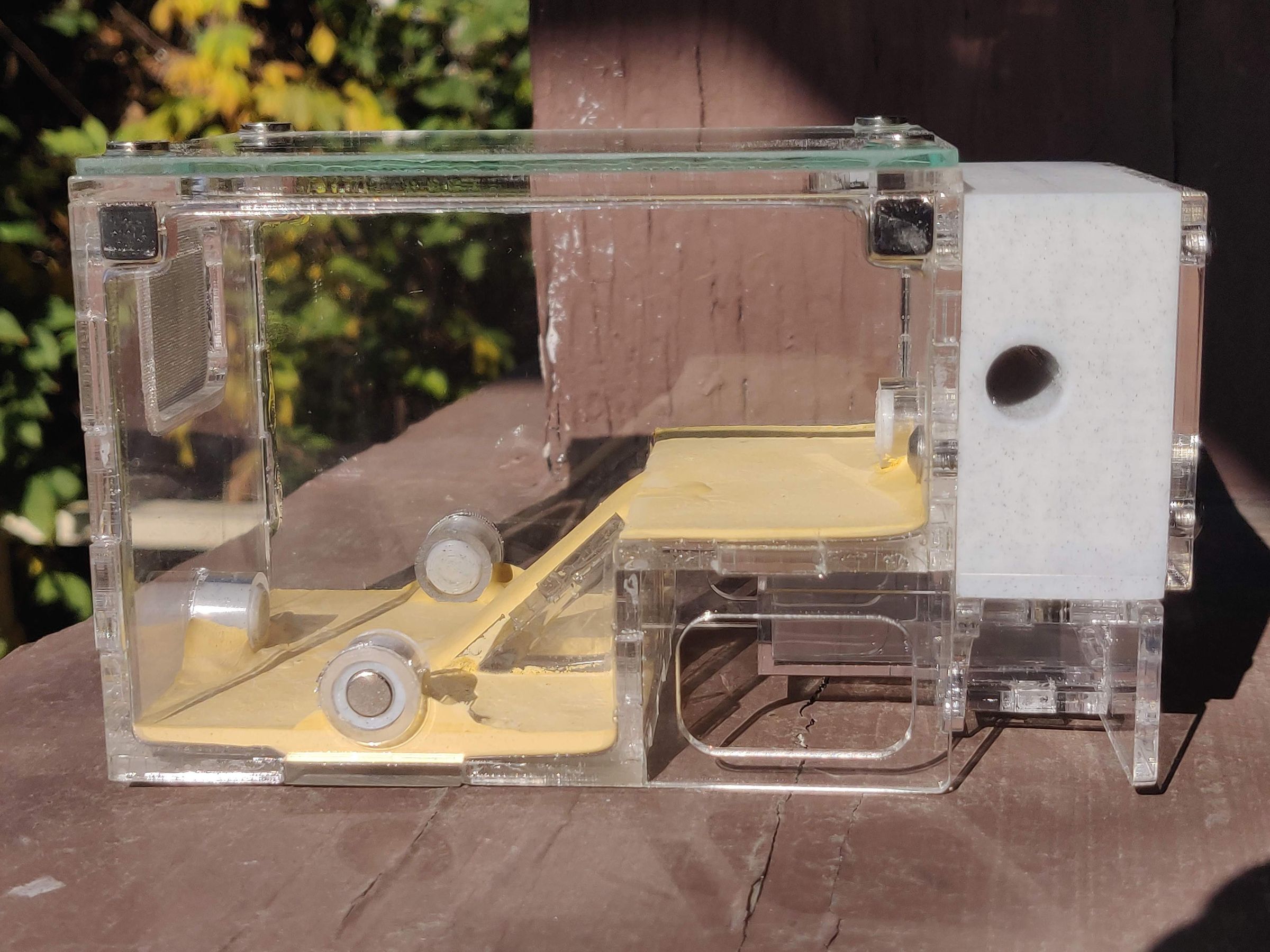 Small Modular Formicarium (Ant Farm) : 16 Steps (with Pictures ...