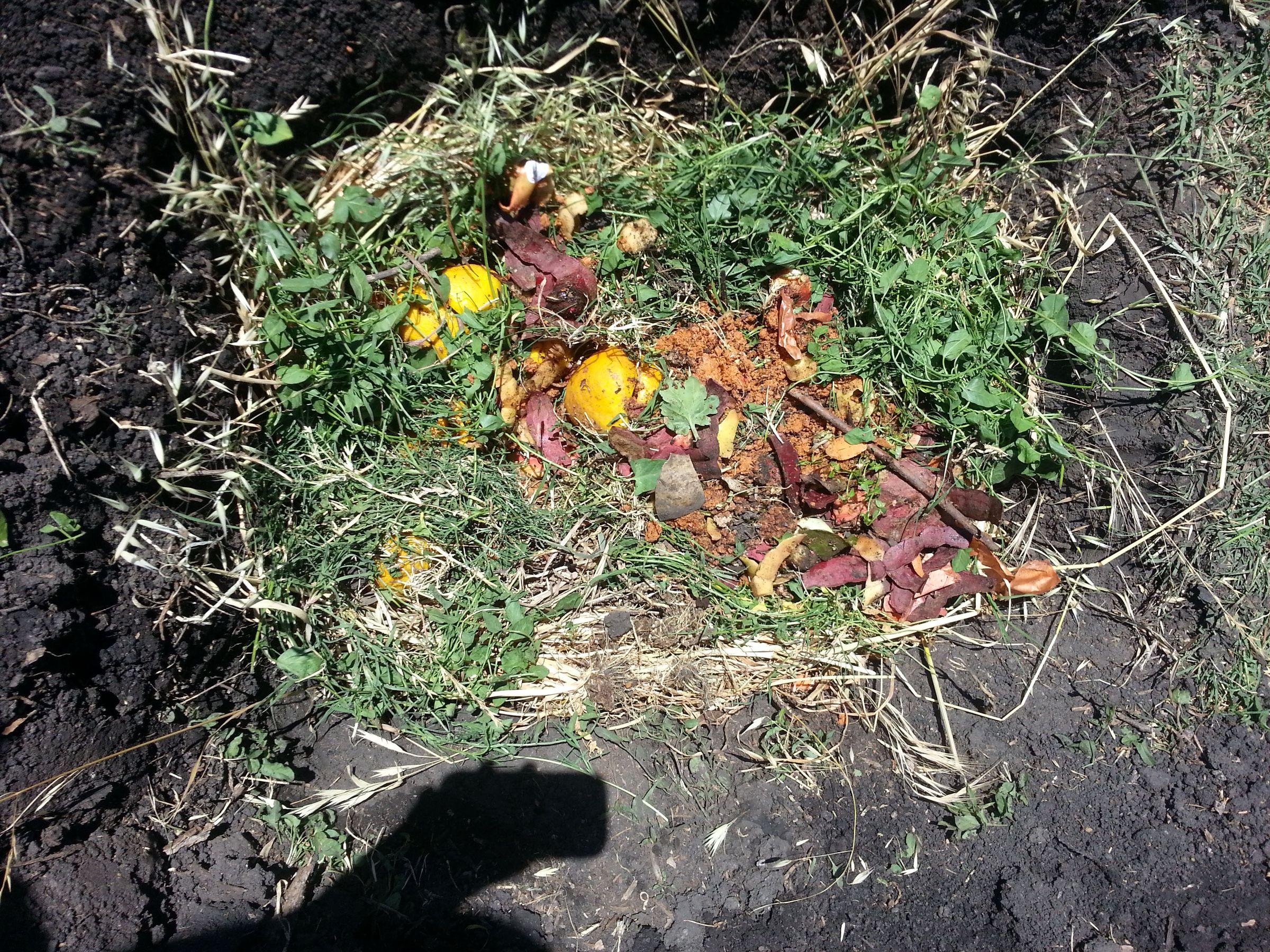 Sheet Mulching : 12 Steps - Instructables