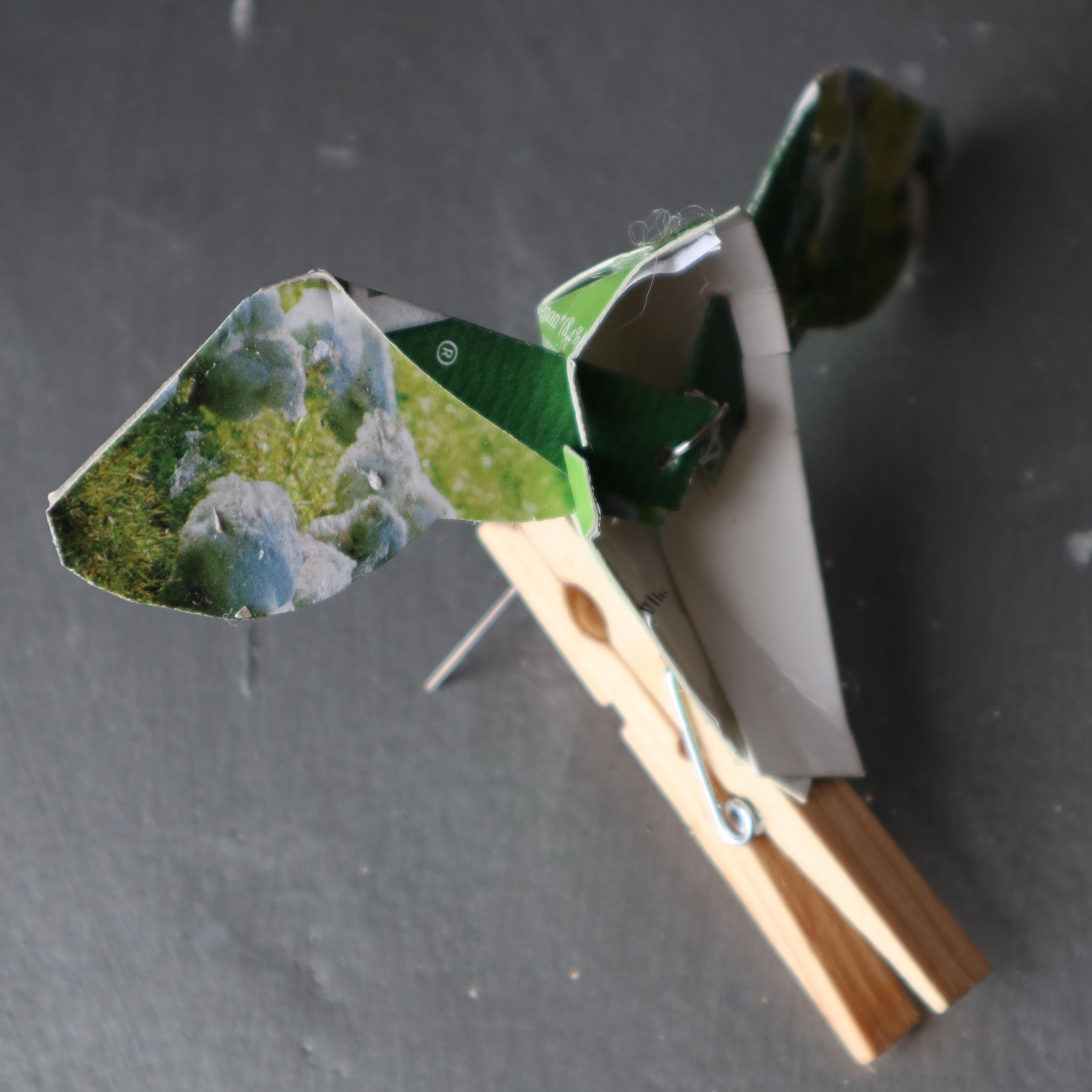 Little Green Peg Parrot : 9 Steps (with Pictures) - Instructables