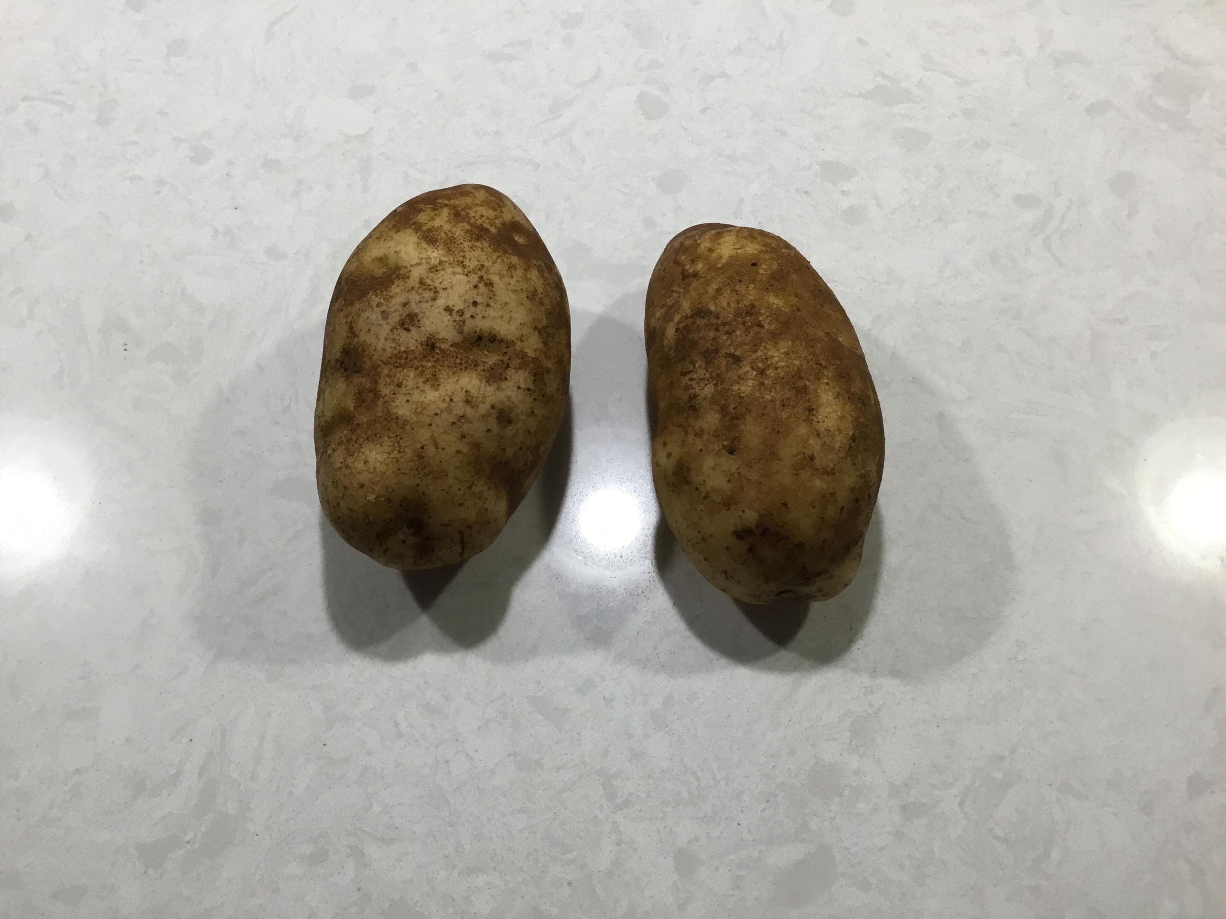 🦜🦜🥔🥔🥔🥔🥔🥔Potato Bird Feeder (2.0v)🥔🥔🥔🥔🥔🥔🥔🦜🦜 : 7 Steps - Instructables