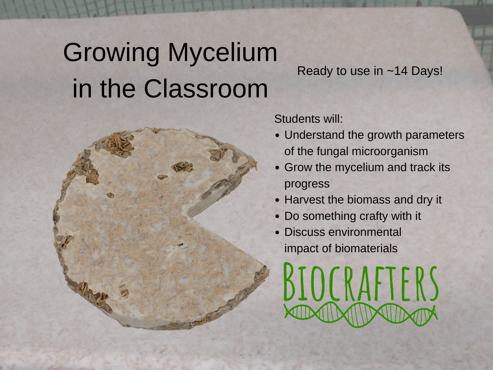 Growing Mycelium in the Classroom and Making Stuff With It ...