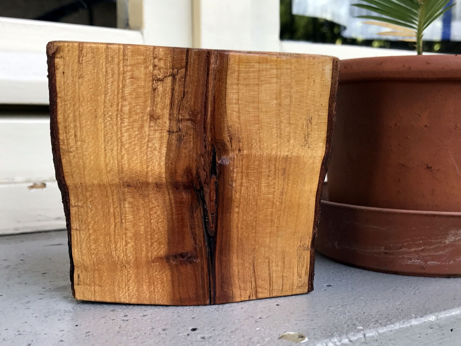 Simple Grafting Without Special Tools : 7 Steps (with Pictures ...