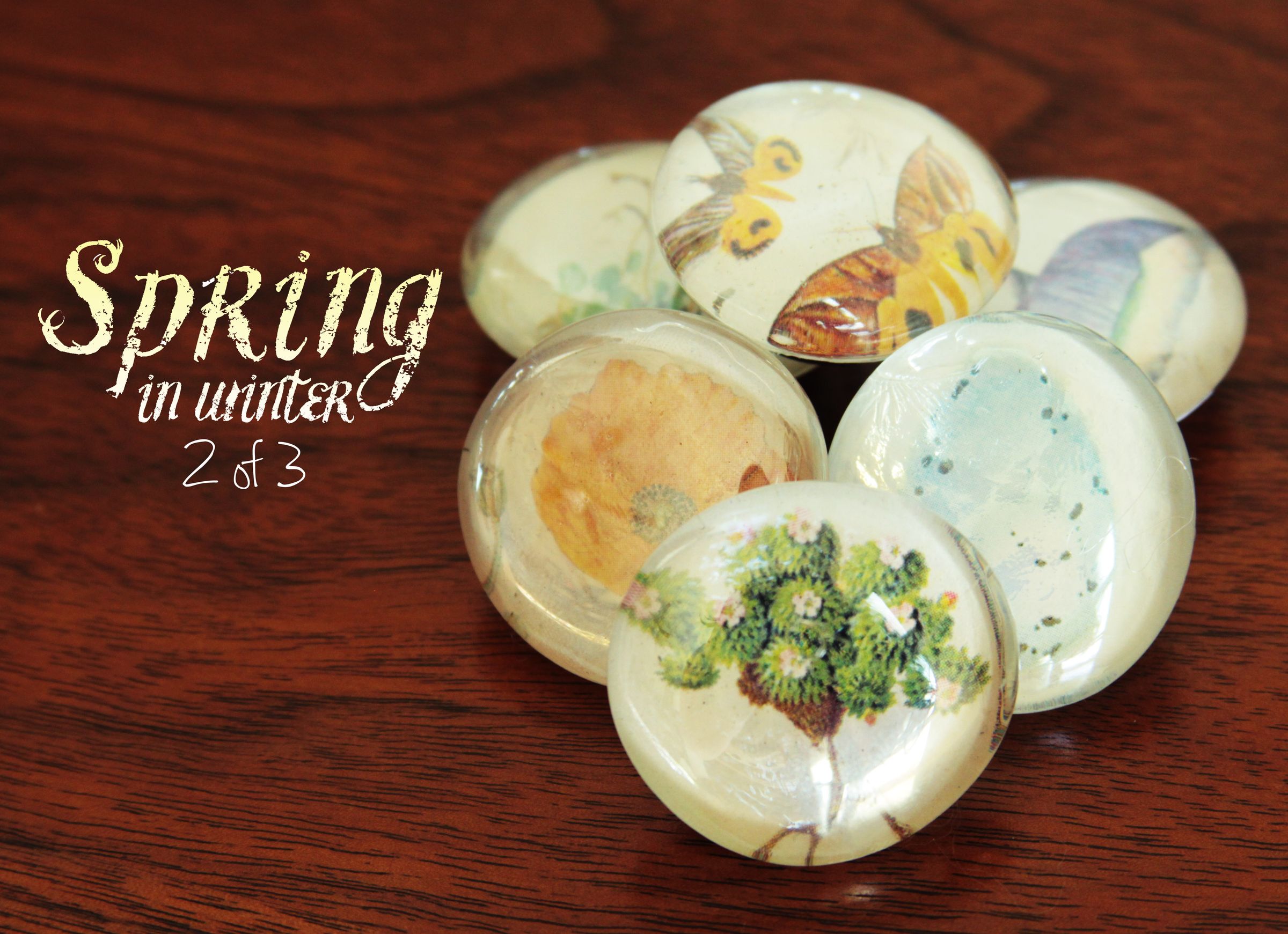 Spring in Winter: Magnet Art : 3 Steps (with Pictures) - Instructables