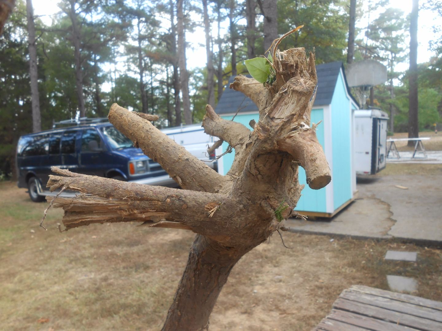 Make a REAL Wizard Staff : 11 Steps (with Pictures) - Instructables