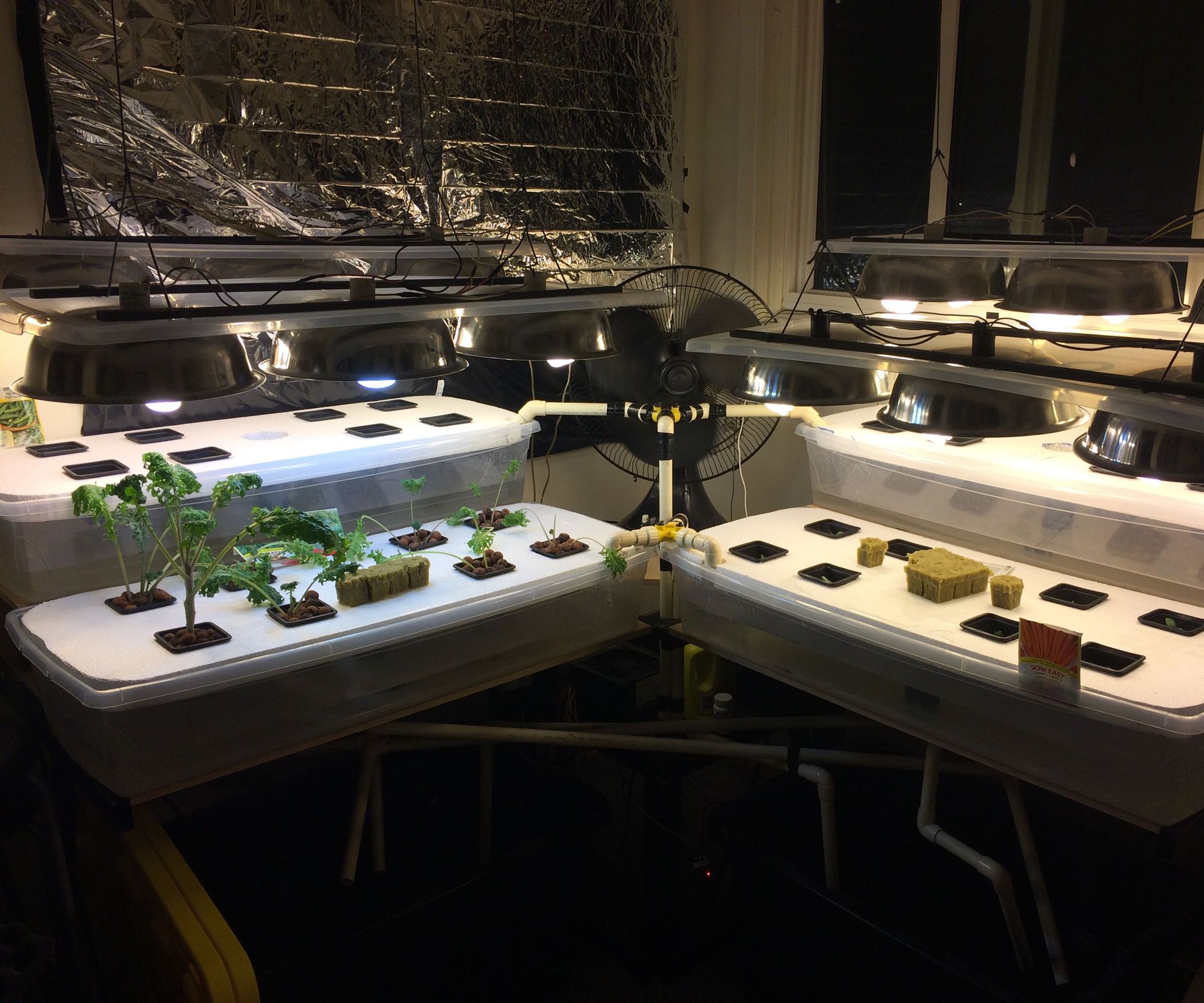 Indoor Hydro/Aqua-ponic Garden : 8 Steps (with Pictures) - Instructables