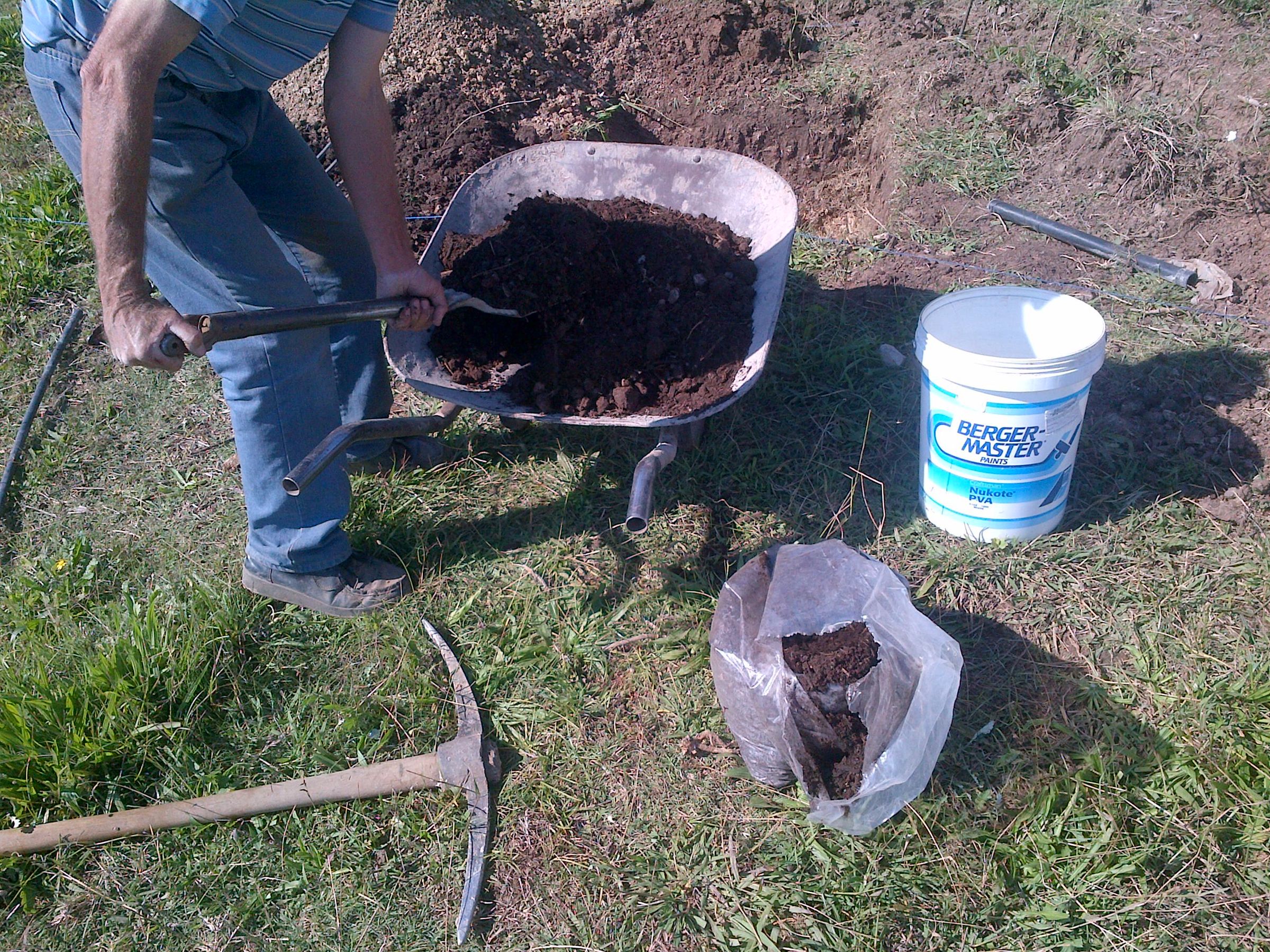 Planting Tree Ellen White Way (EGW) : 11 Steps - Instructables