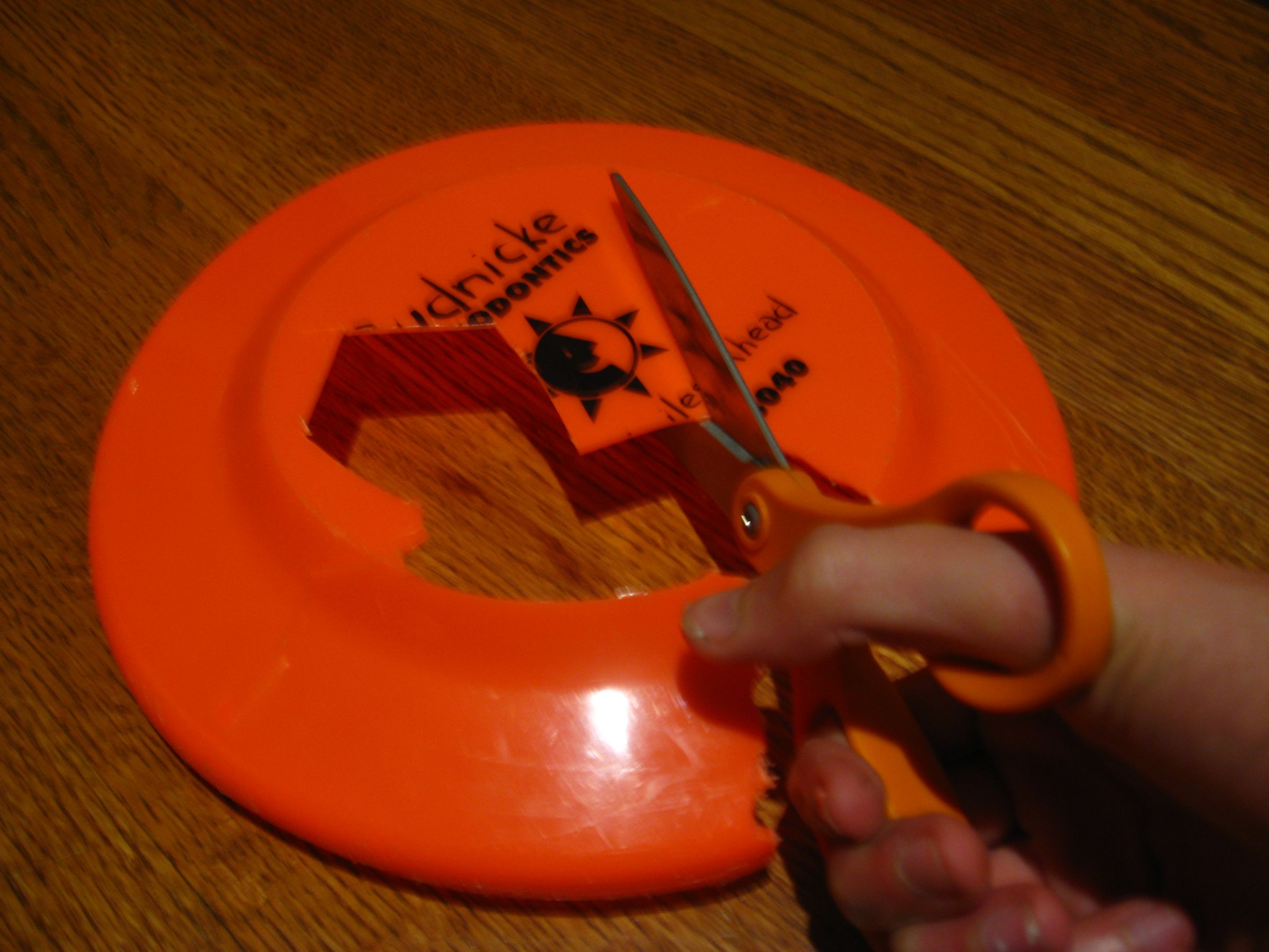 Create No-edit Pop-art Style Pictures Using a Frisbee : 4 Steps ...