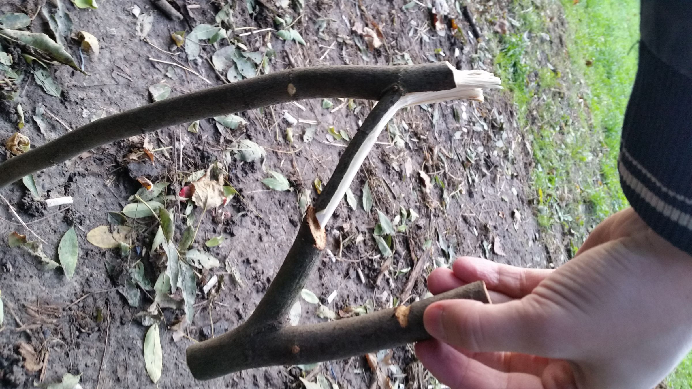 Primitive Smart Fishing : 8 Steps (with Pictures) - Instructables