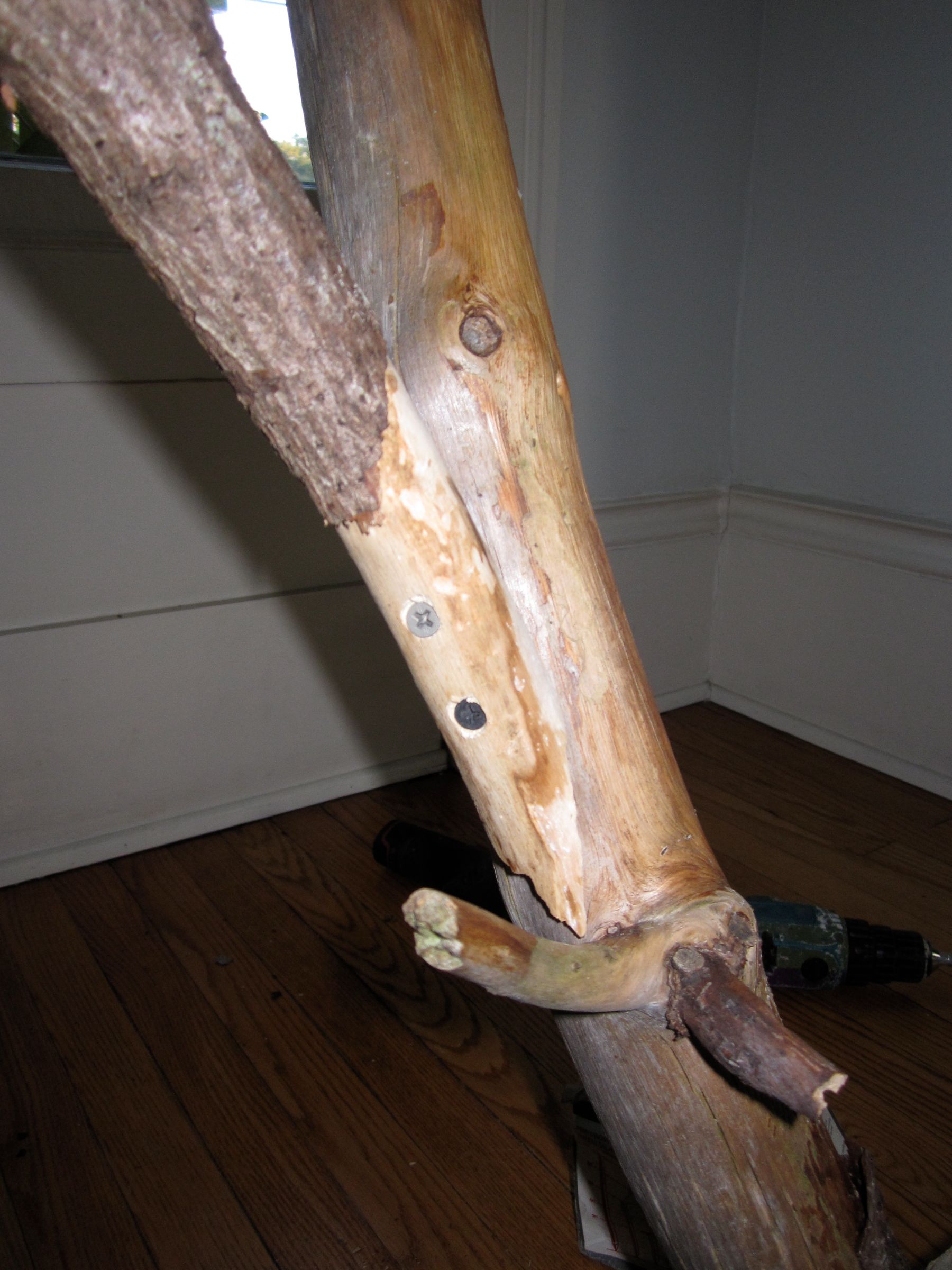 Alternative Christmas Tree : 3 Steps (with Pictures) - Instructables