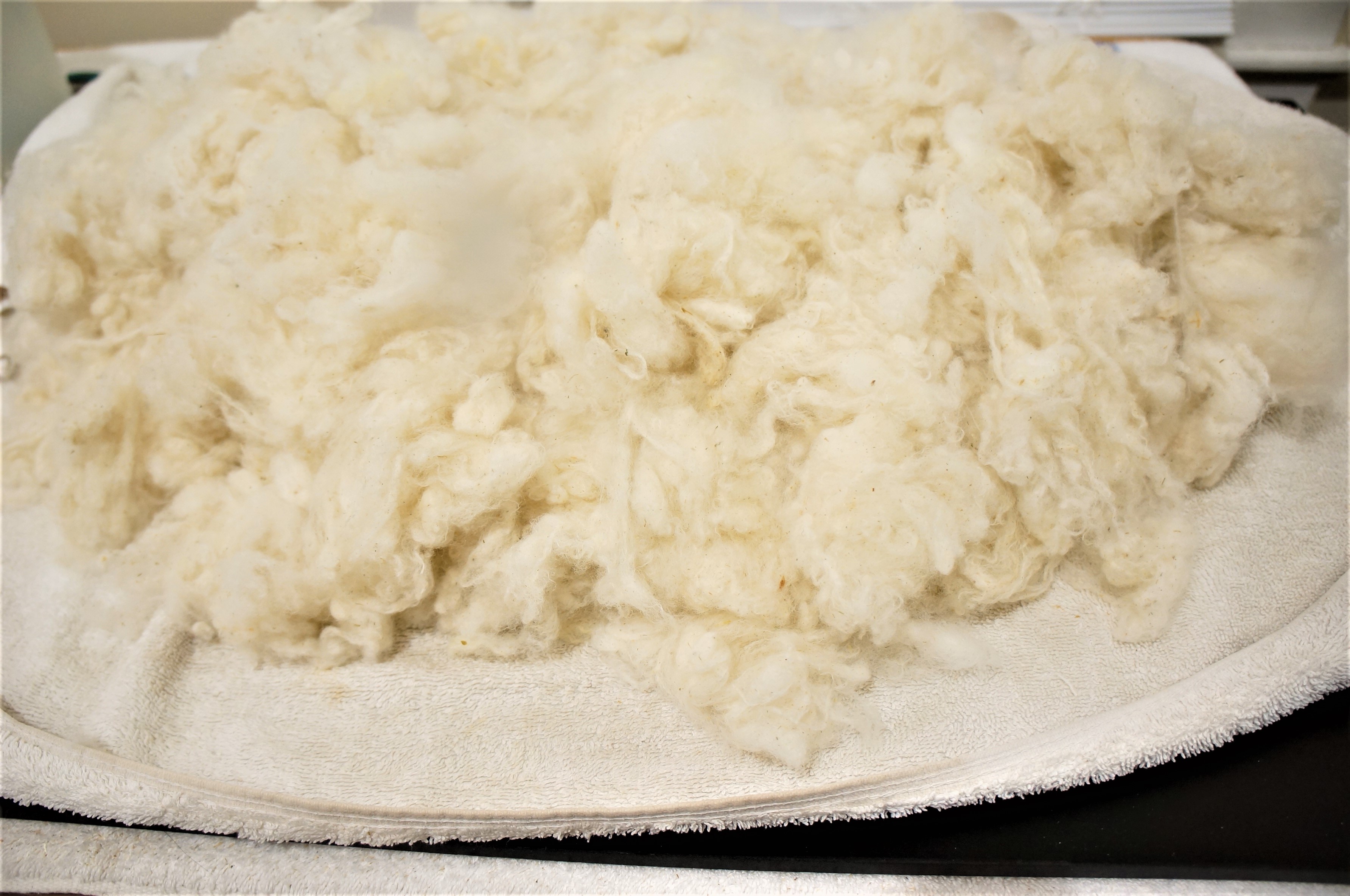 How to Process Card and Dye Raw Wool : 12 Steps (with Pictures ...