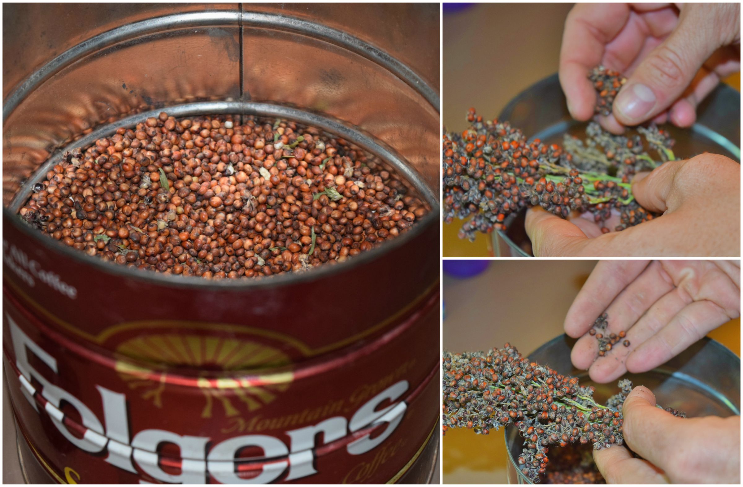 Popped Milo : 4 Steps (with Pictures) - Instructables