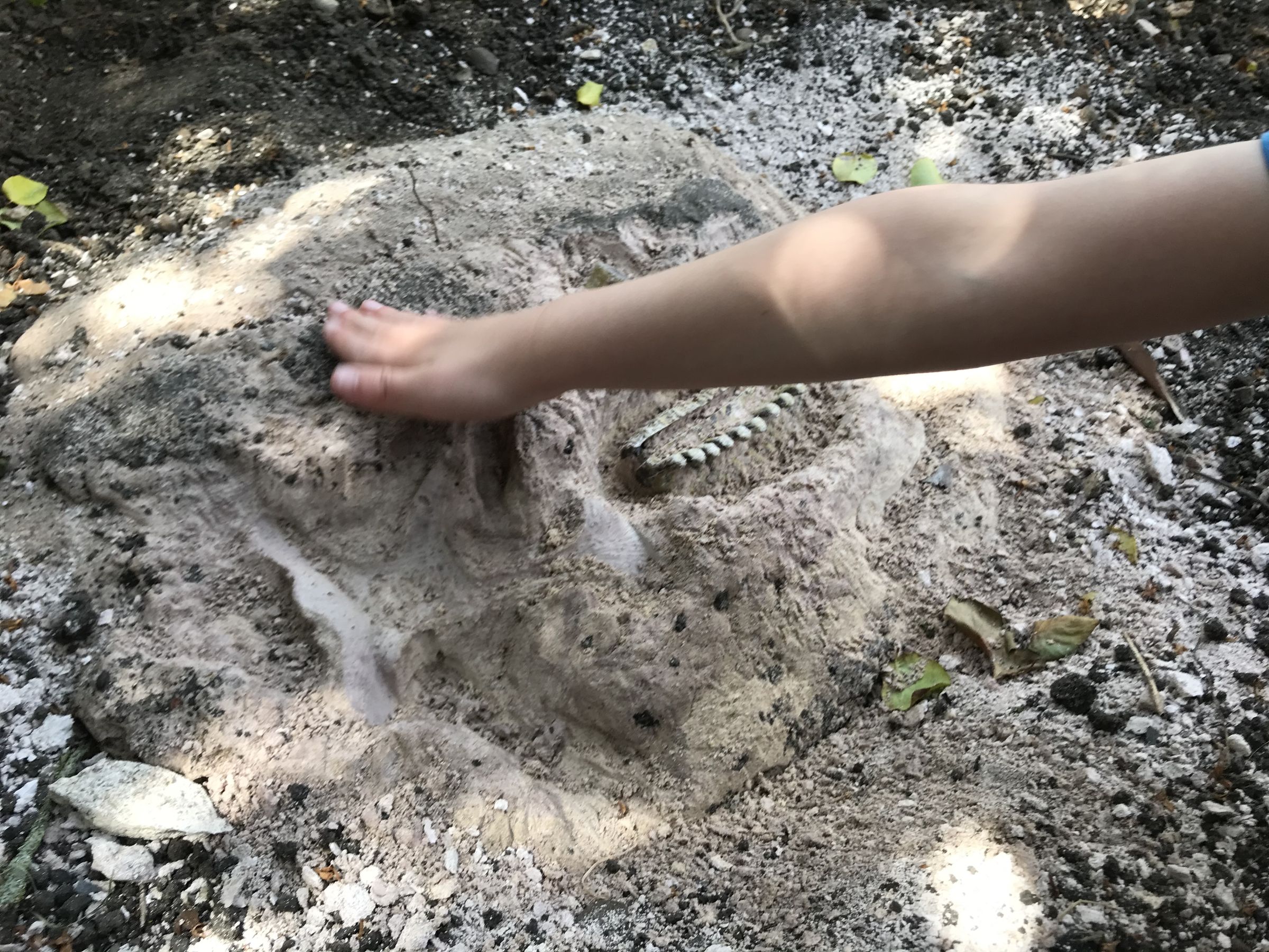 HUGE Homemade Dinosaur Excavation Dig : 5 Steps - Instructables